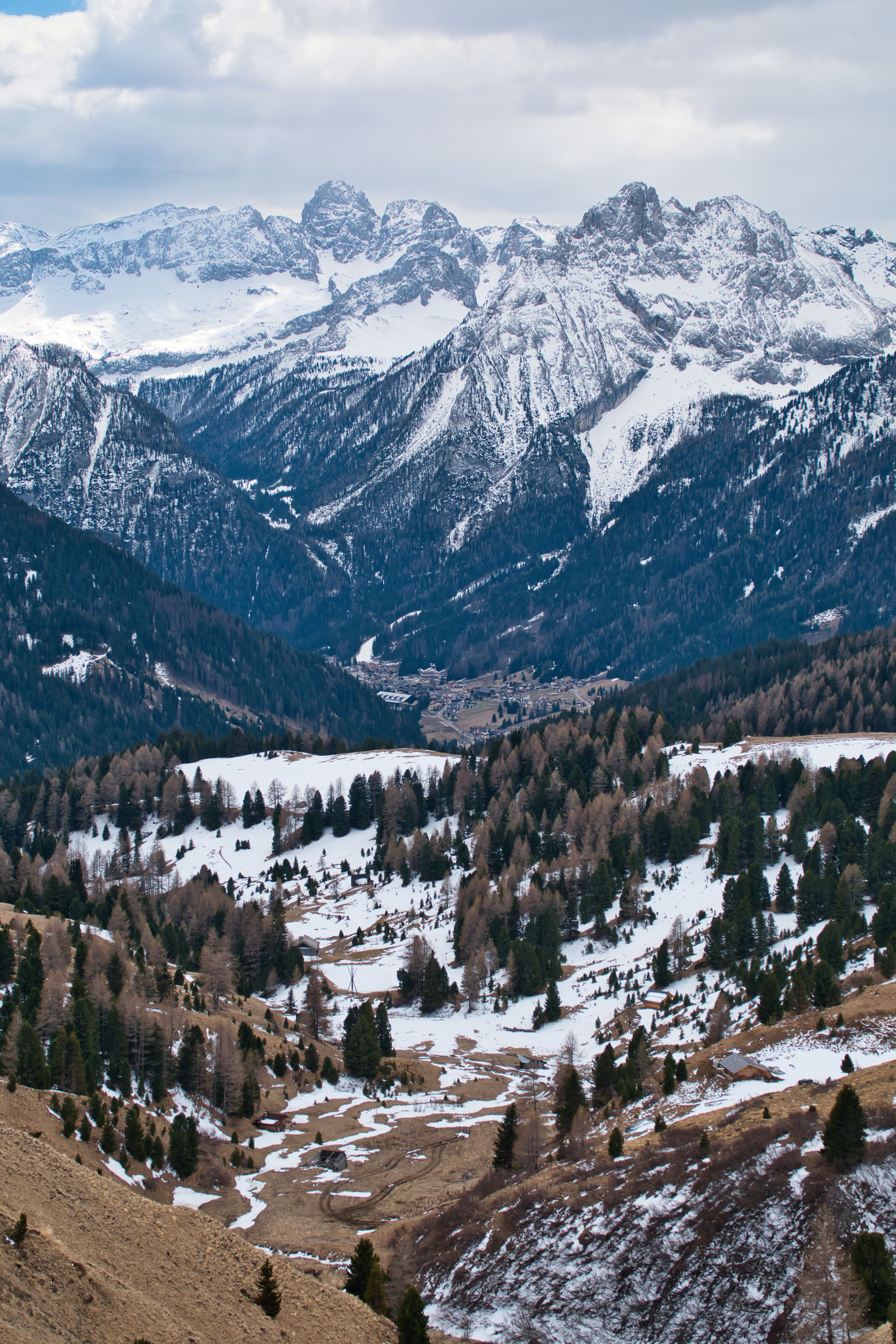Snowed Valley with Forest · Free Stock Photo