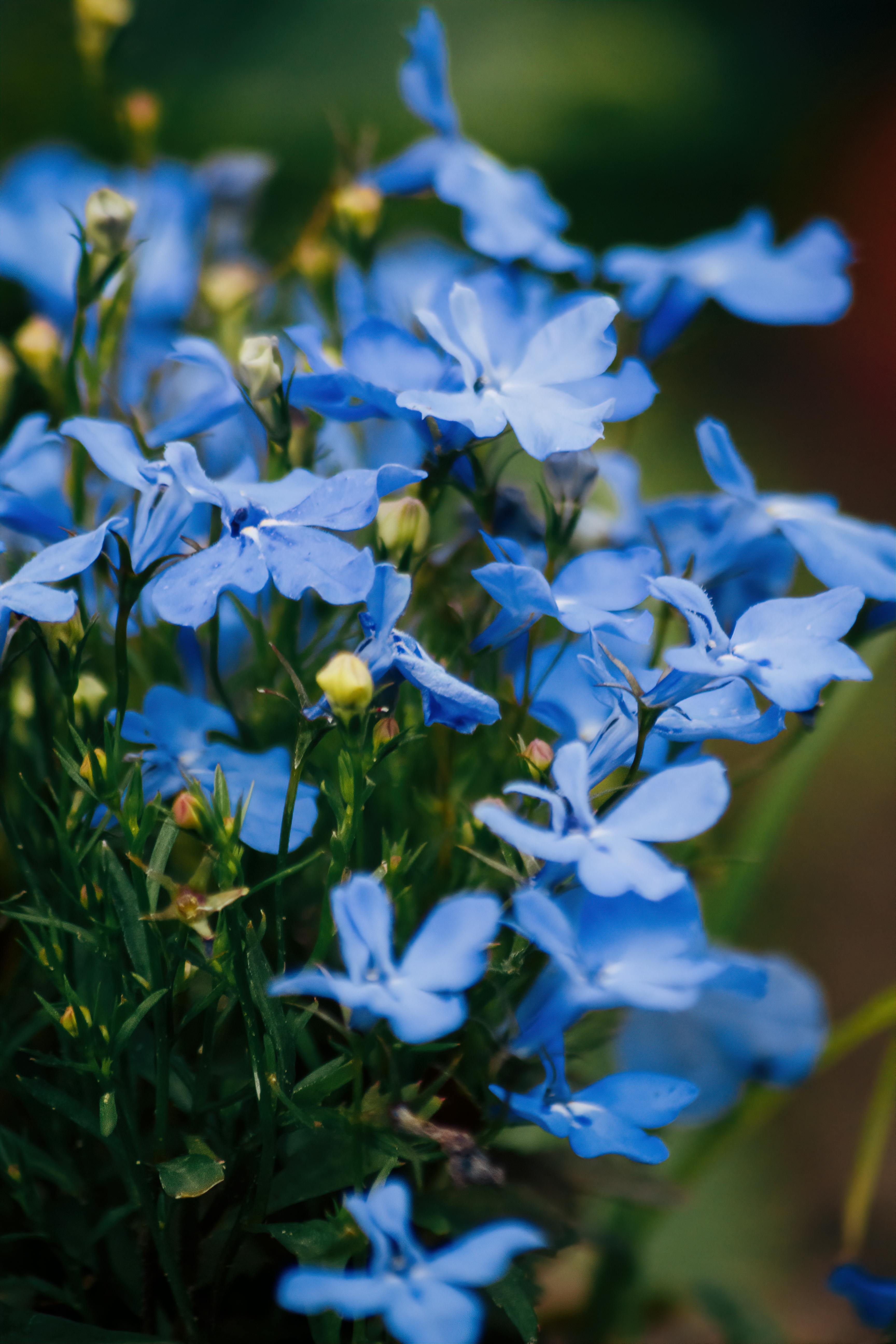 Przyroda Wallpaper Photos, Download The BEST Free Przyroda Wallpaper ...