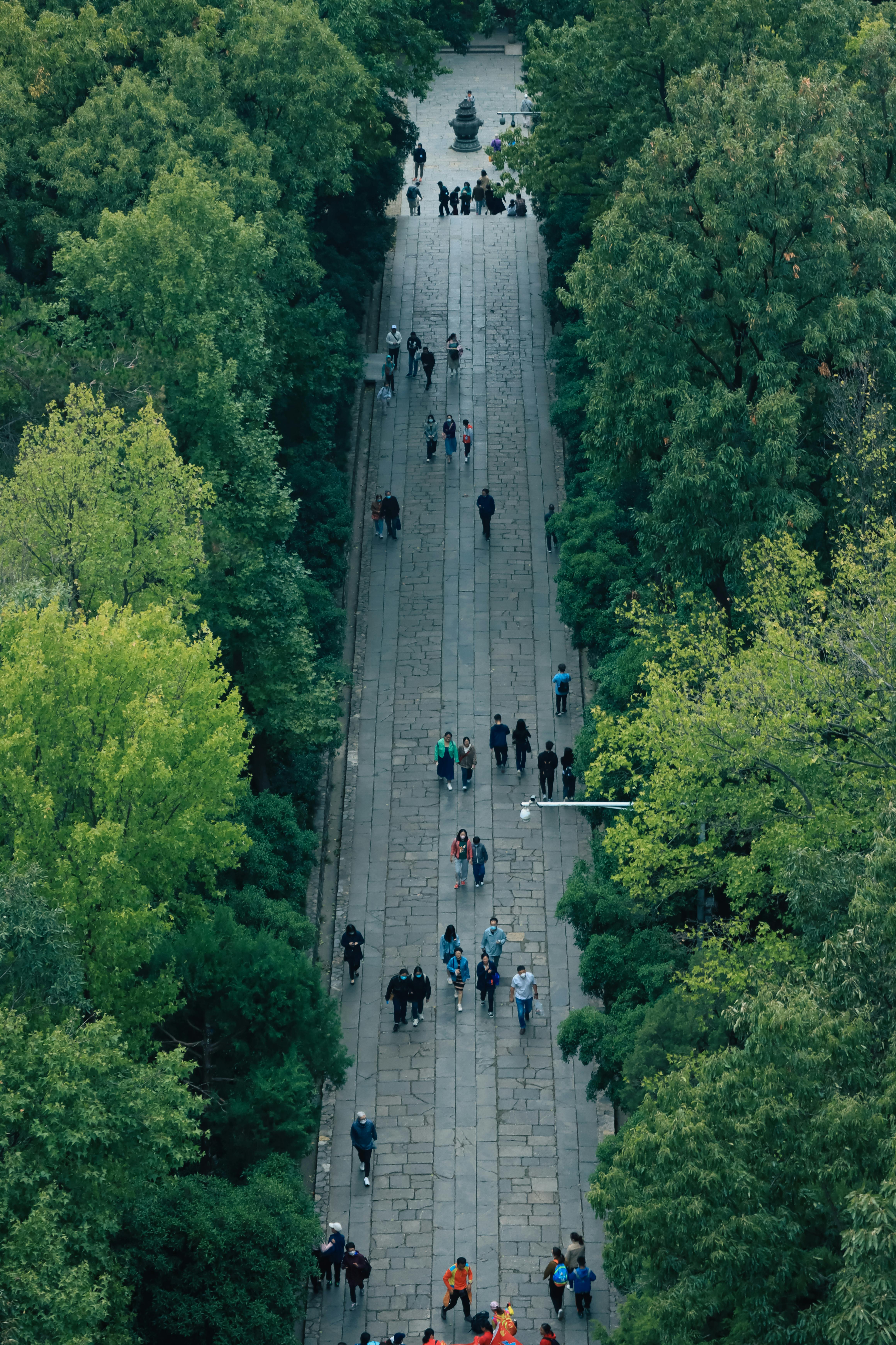 Top View of a Walkway in a Park · Free Stock Photo