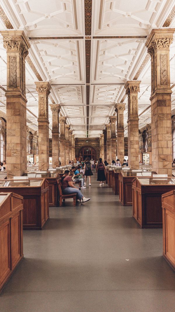 Natural History Museum Photos, Download The BEST Free Natural History ...