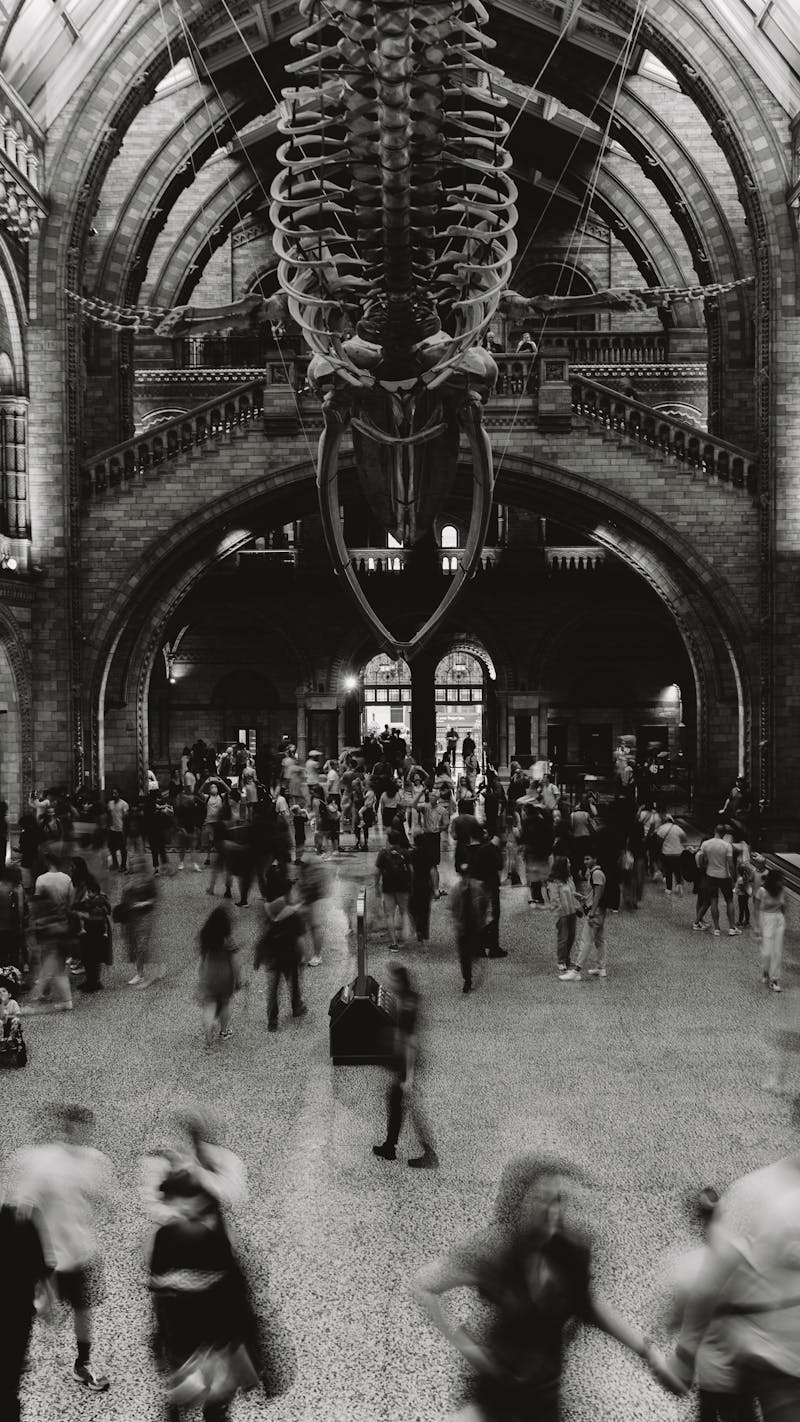 Science Museum Photos, Download The BEST Free Science Museum Stock ...