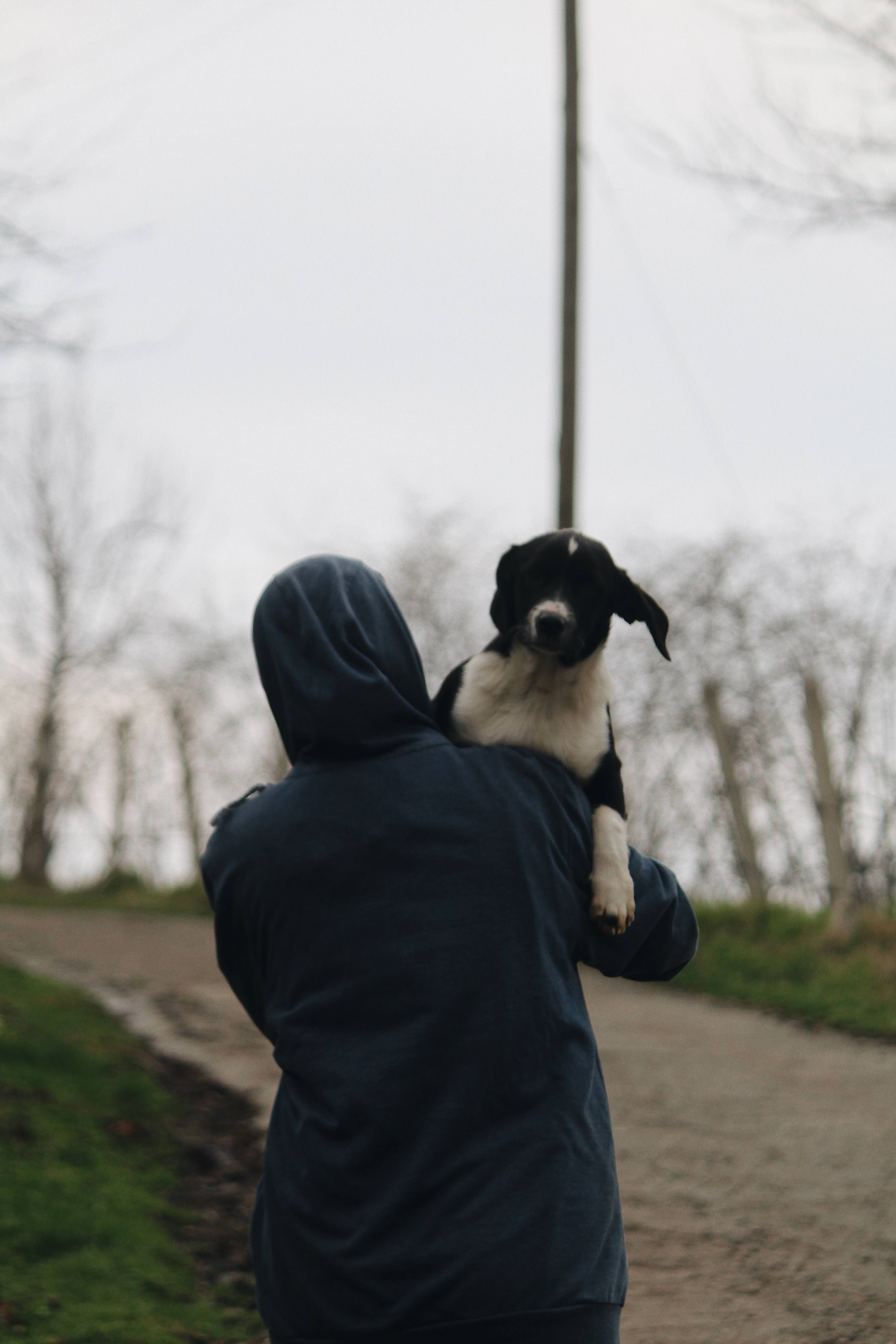 Person Carrying Dog · Free Stock Photo