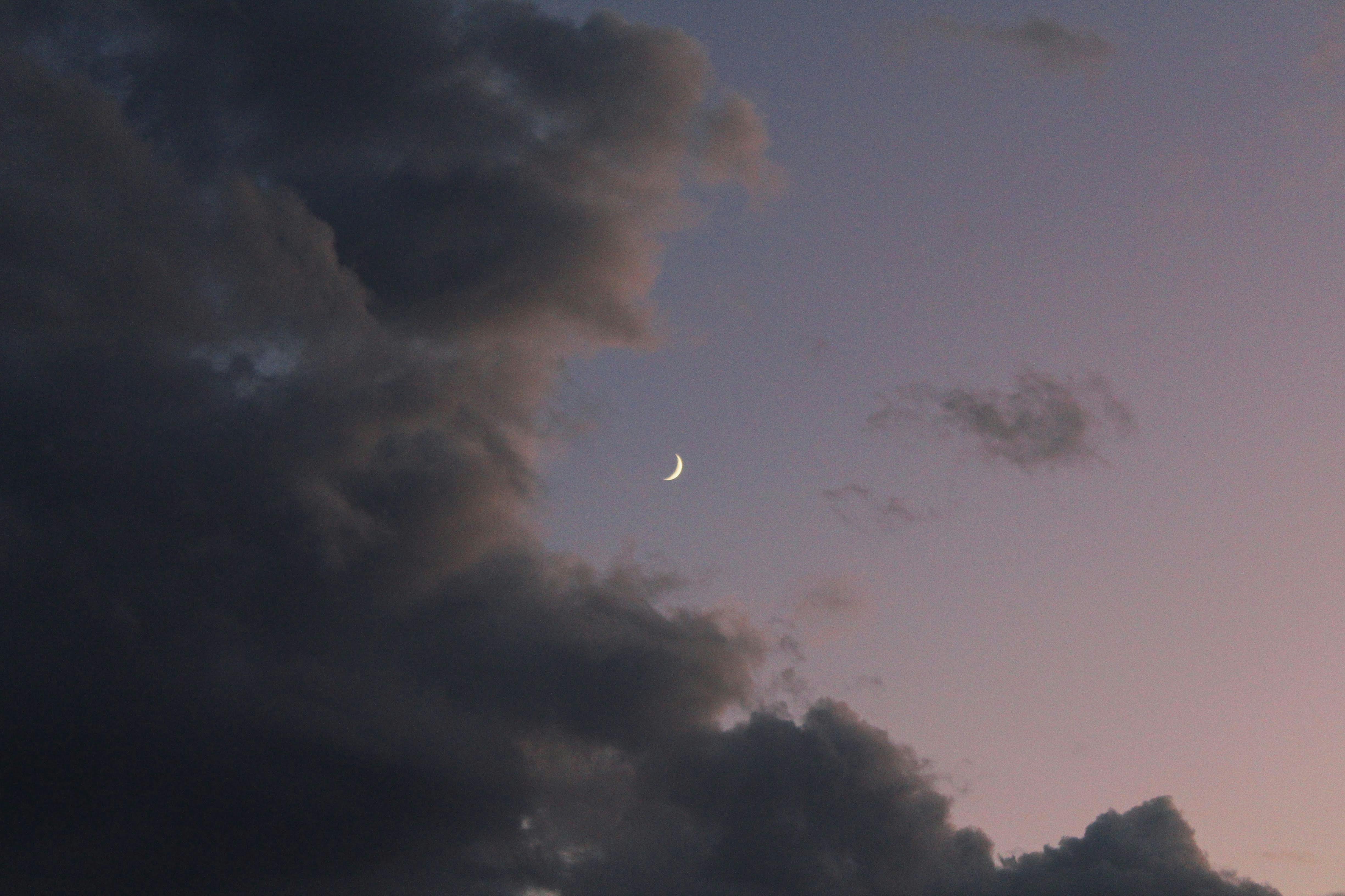 Crescent Moon on a Pink Sky · Free Stock Photo