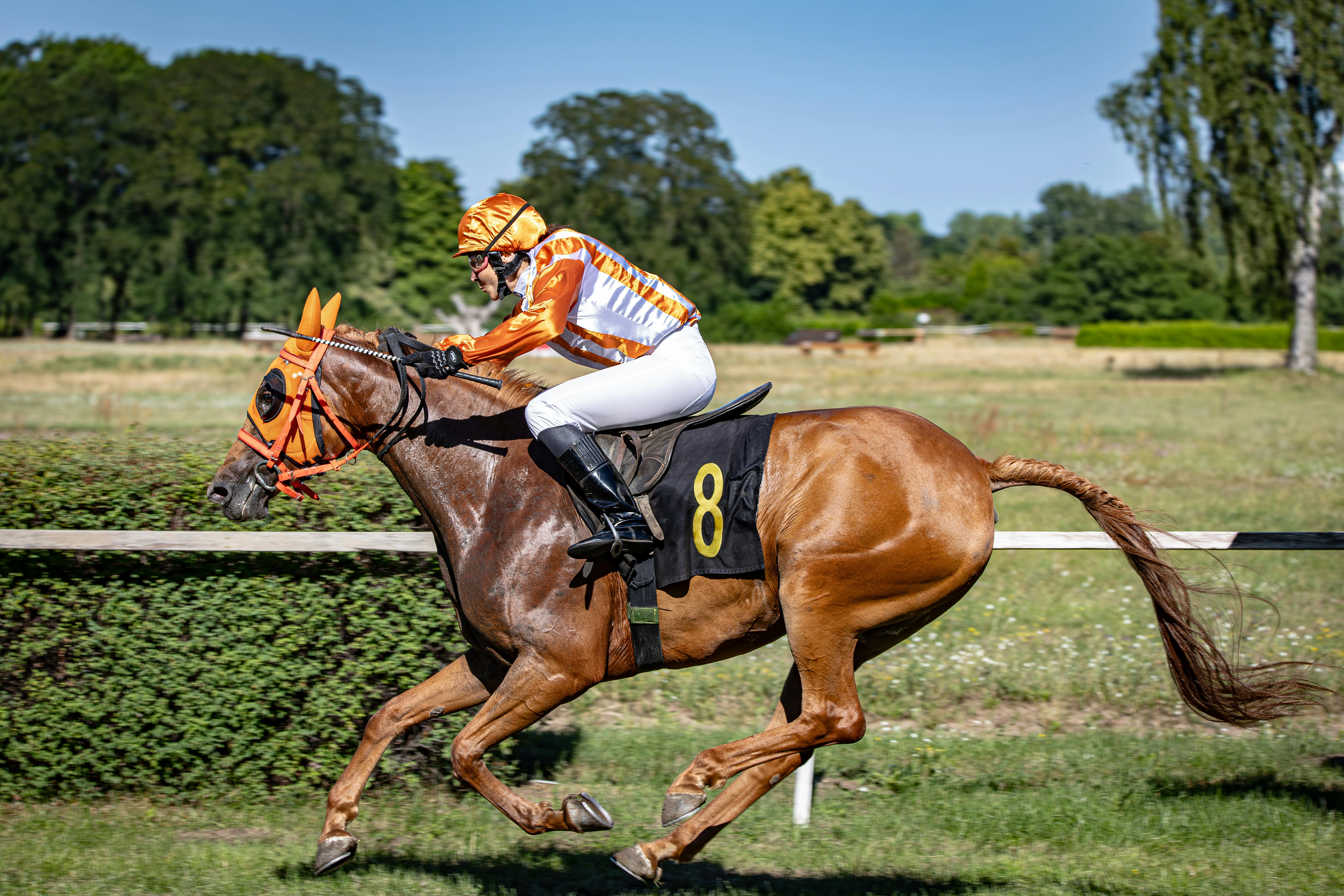 Two Men Riding on Horses · Free Stock Photo