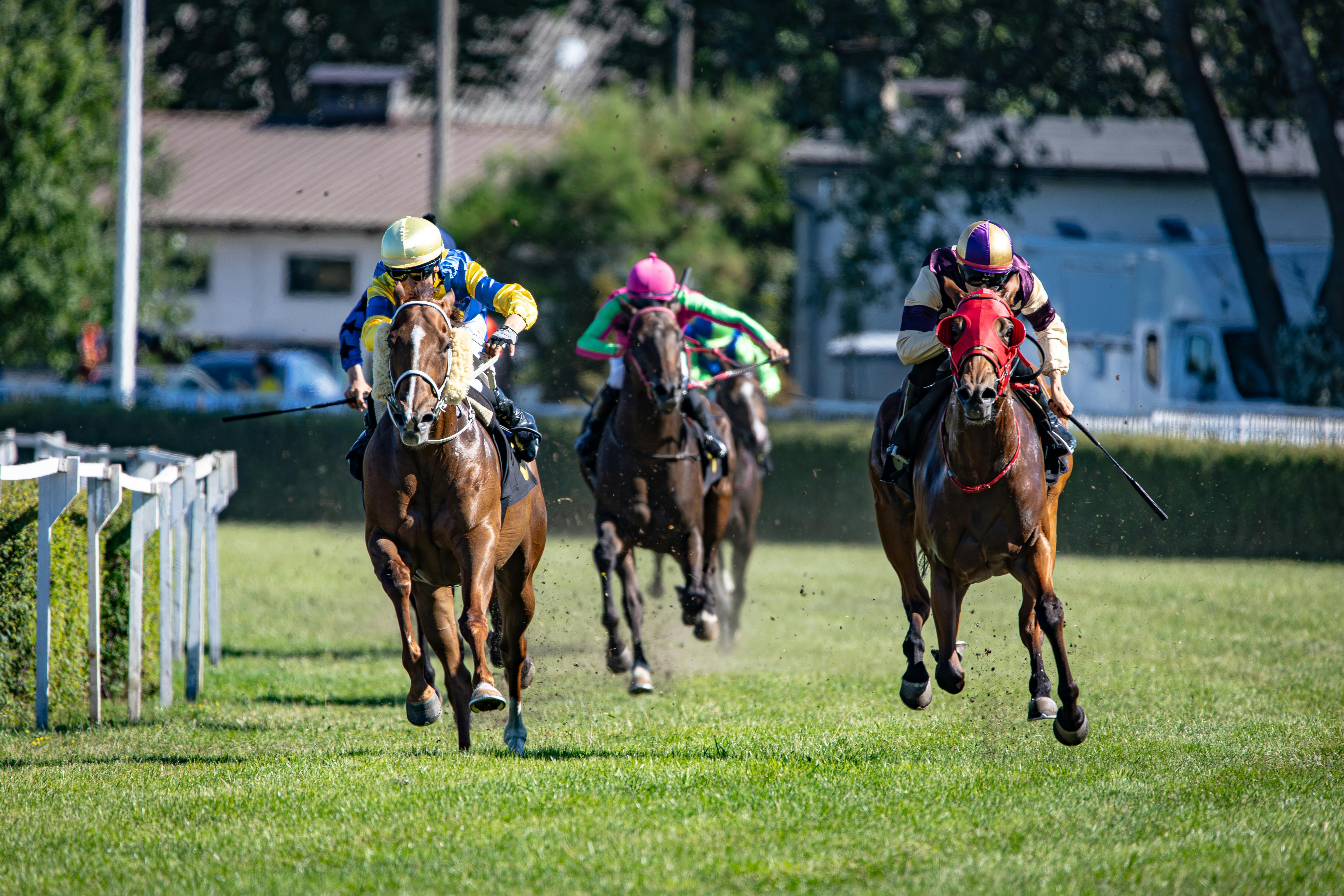 Riders Riding Horses on Racing Course · Free Stock Photo