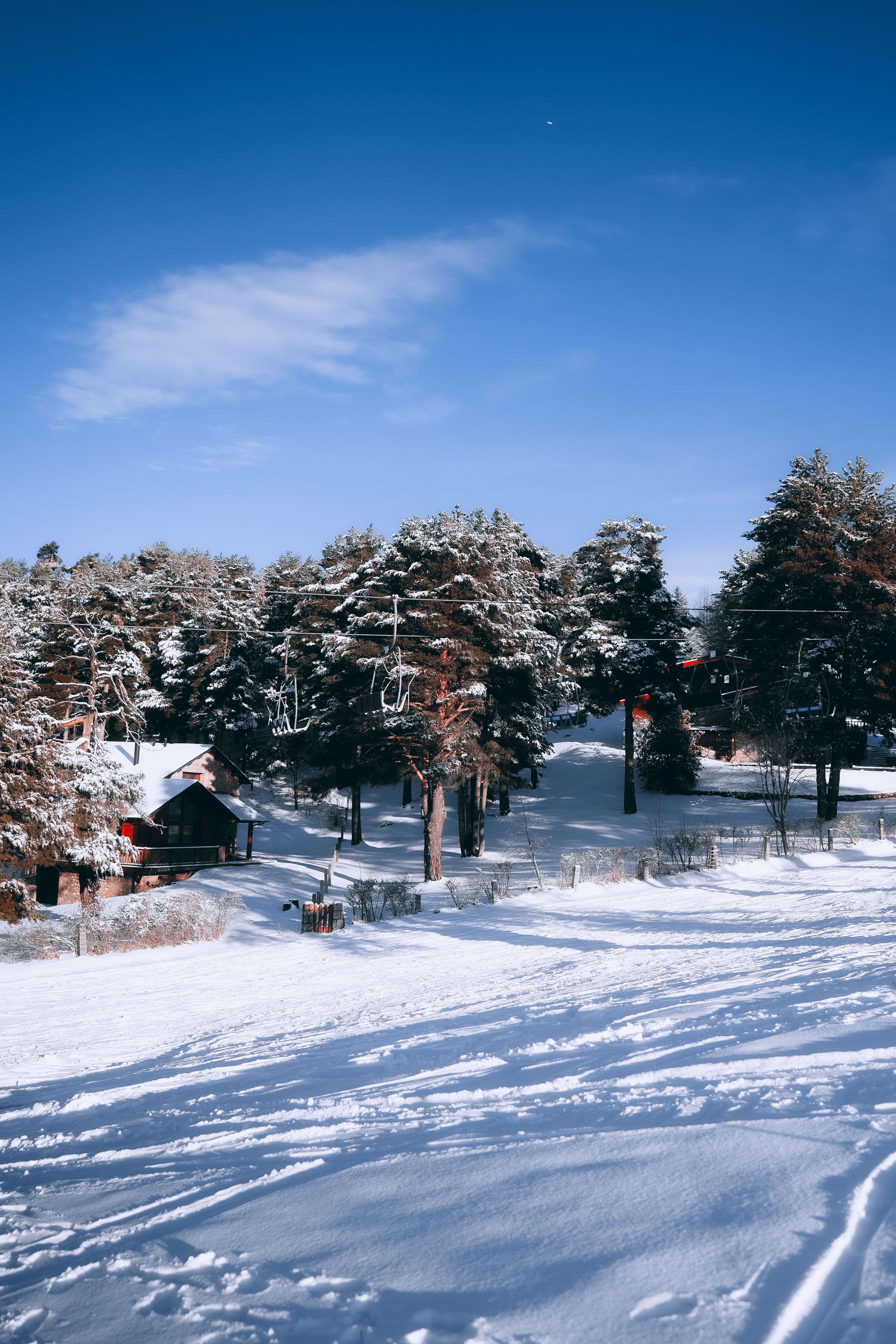 White Snow in Countryside · Free Stock Photo
