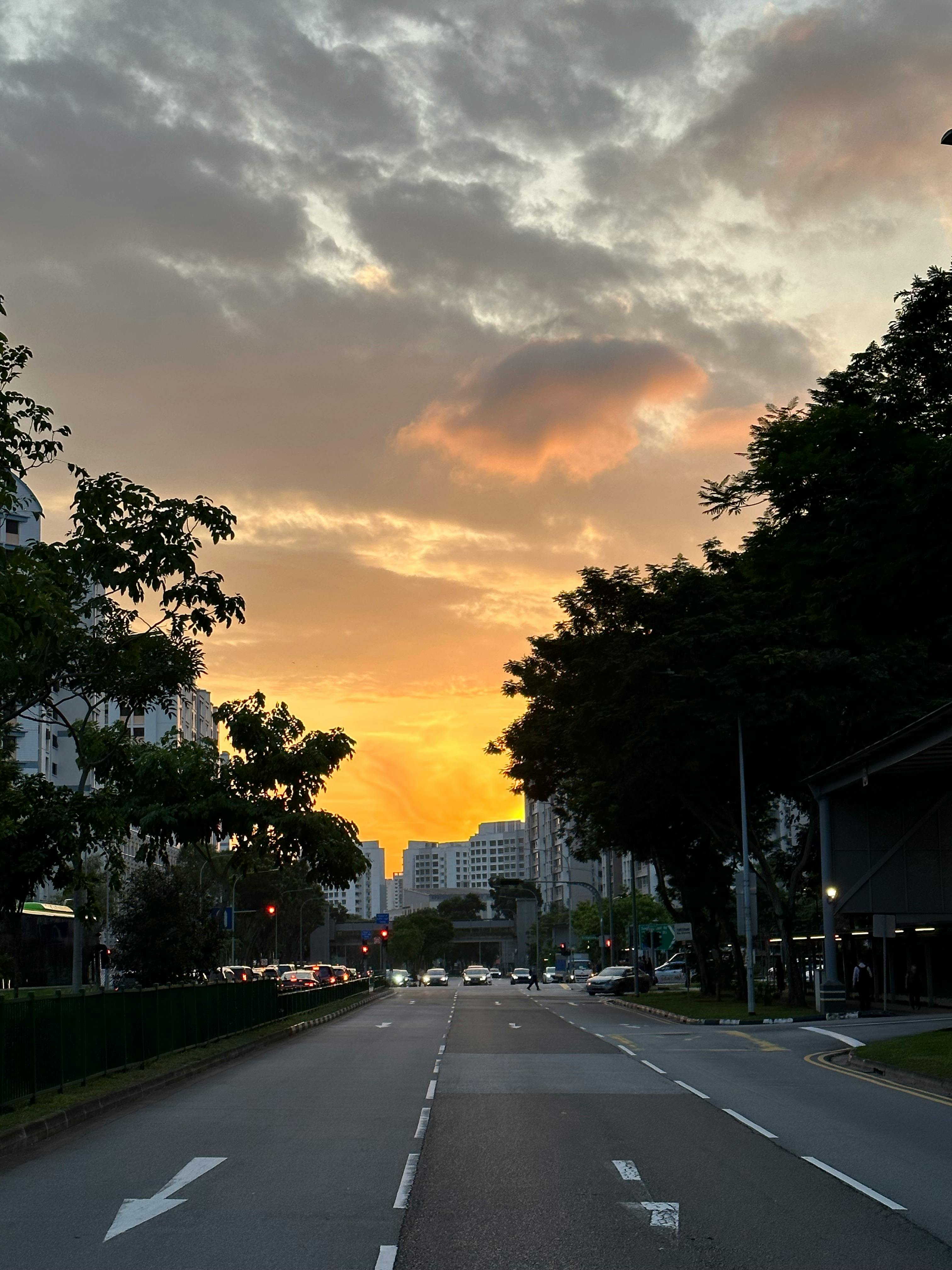 Alex Chew - Fotoğrafçılık