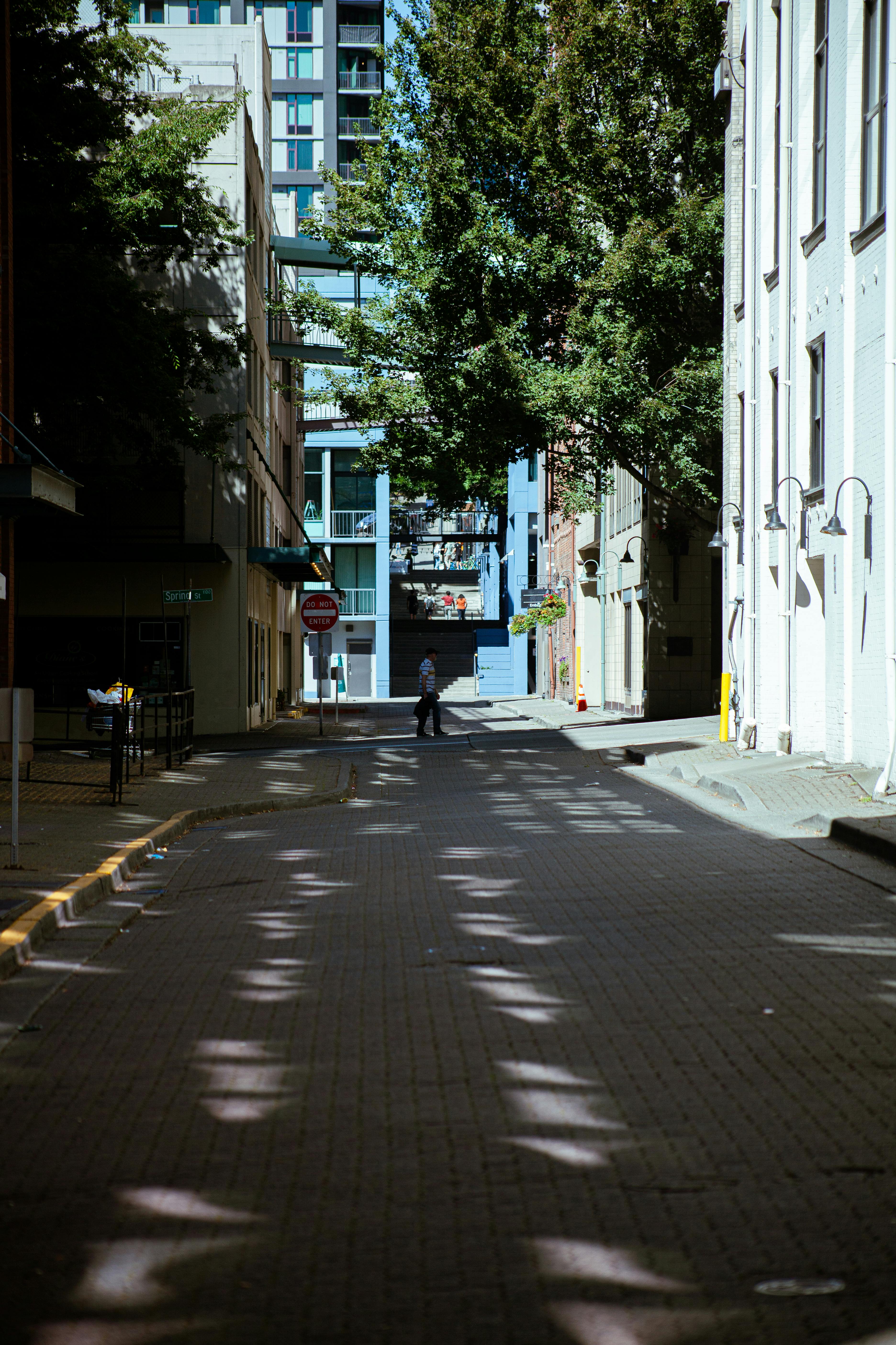 Ally Photos, Download The BEST Free Ally Stock Photos & HD Images