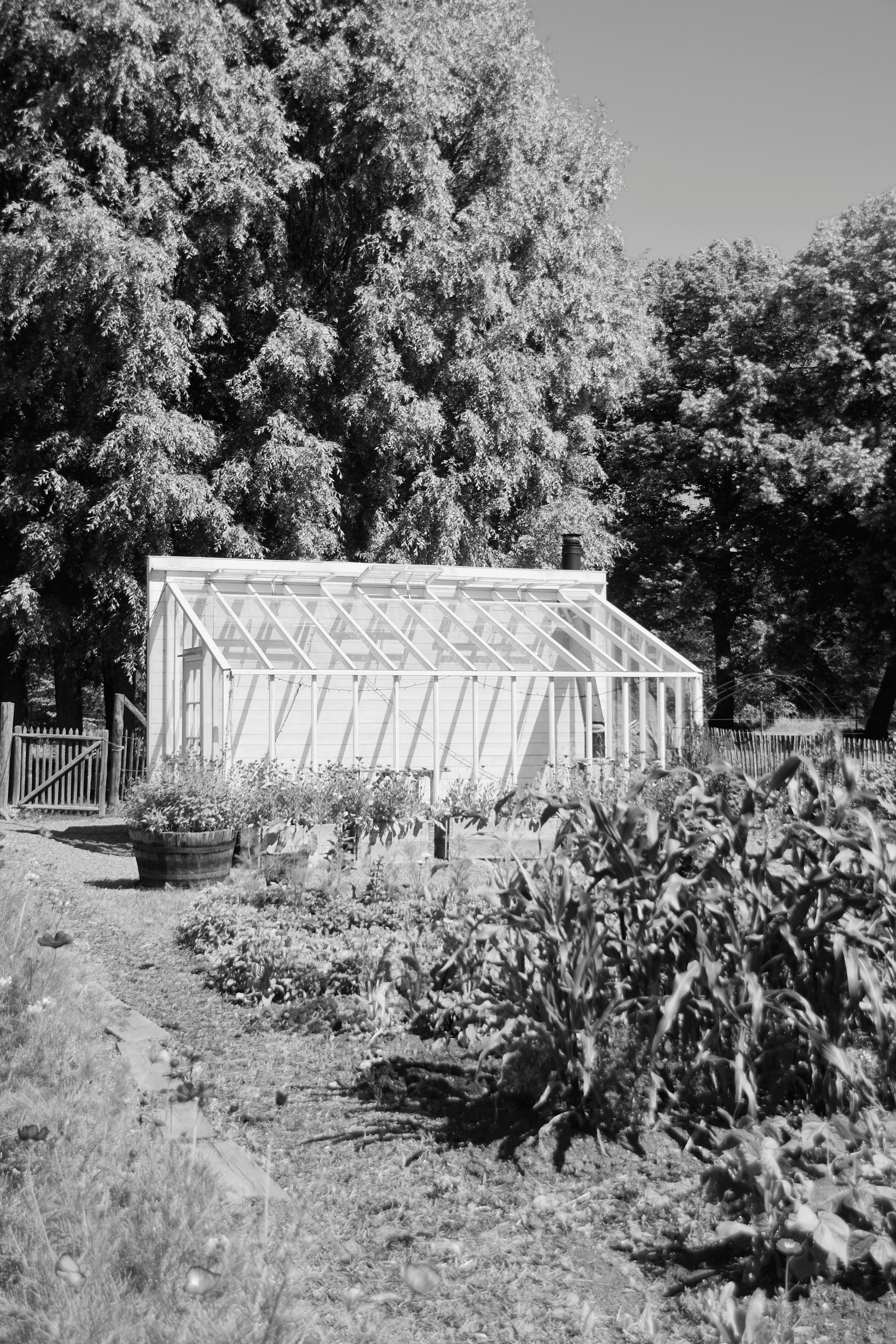 Tradgard Nett Photos, Download The BEST Free Tradgard Nett Stock Photos ...