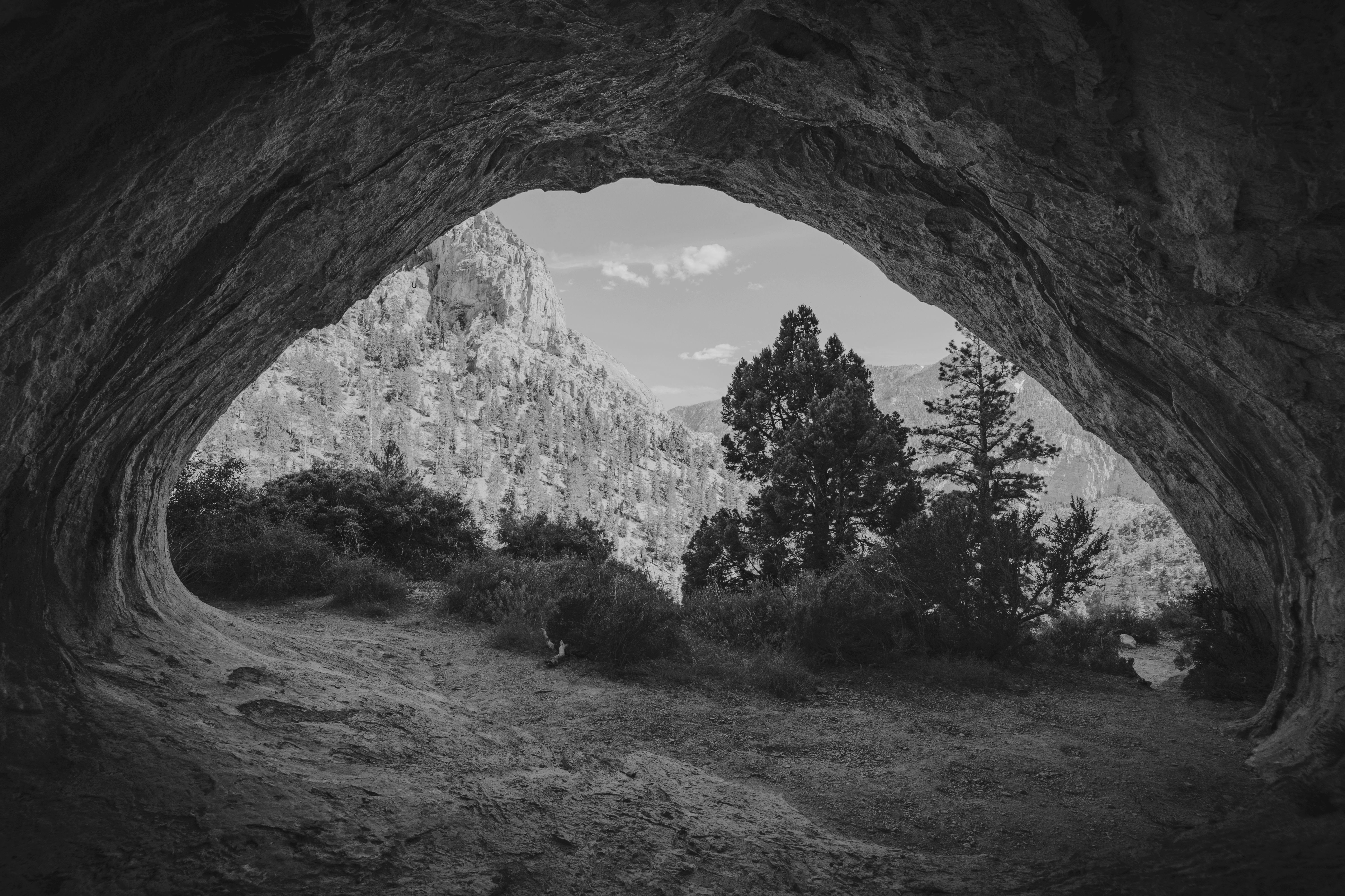 Trees behind Cave Entrance · Free Stock Photo