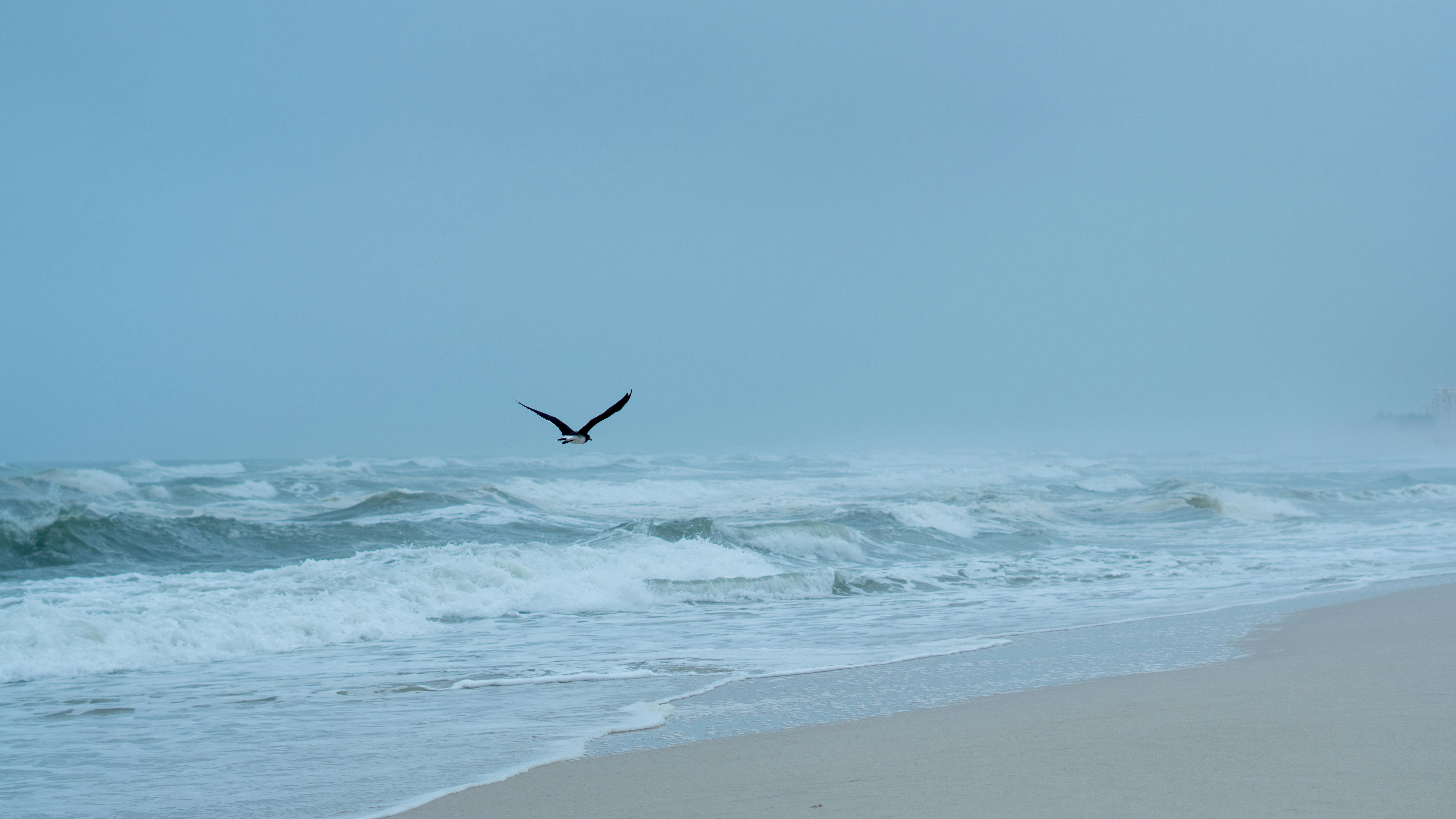 Beach And Ocean Photos, Download The BEST Free Beach And Ocean Stock ...