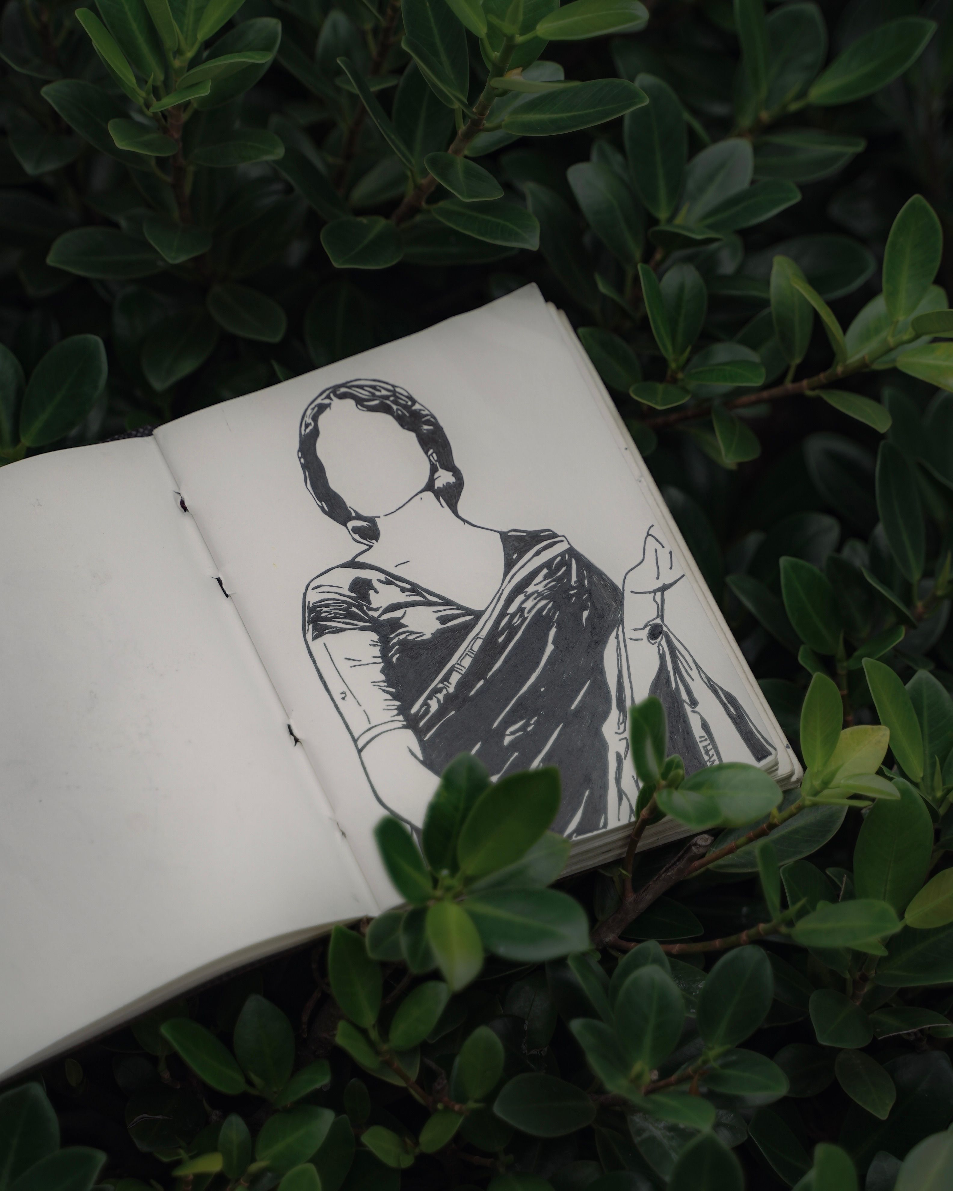 Sketch Micro Photos, Download The BEST Free Sketch Micro Stock Photos ...