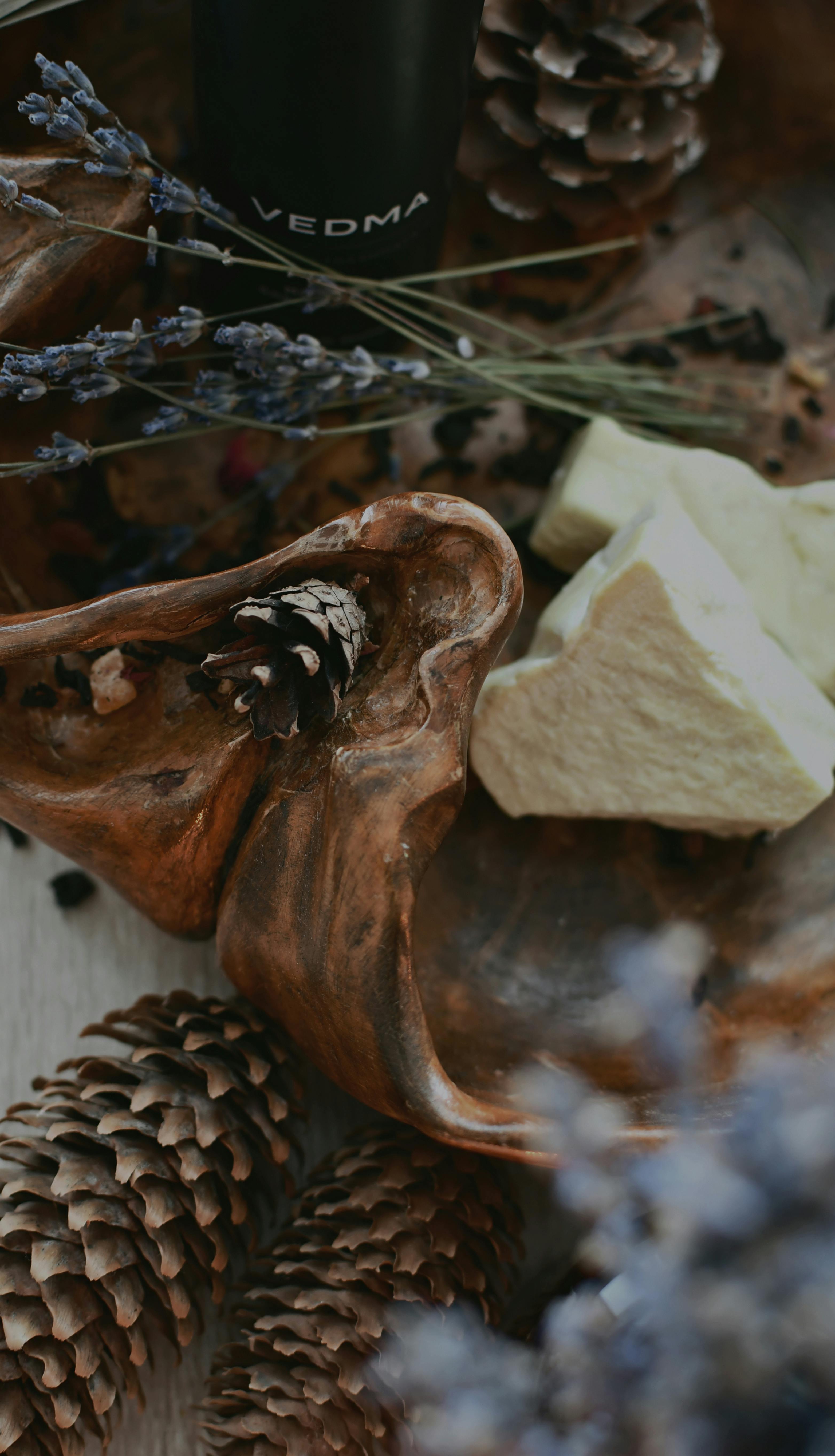 Still Life with Cones and Lavender · Free Stock Photo
