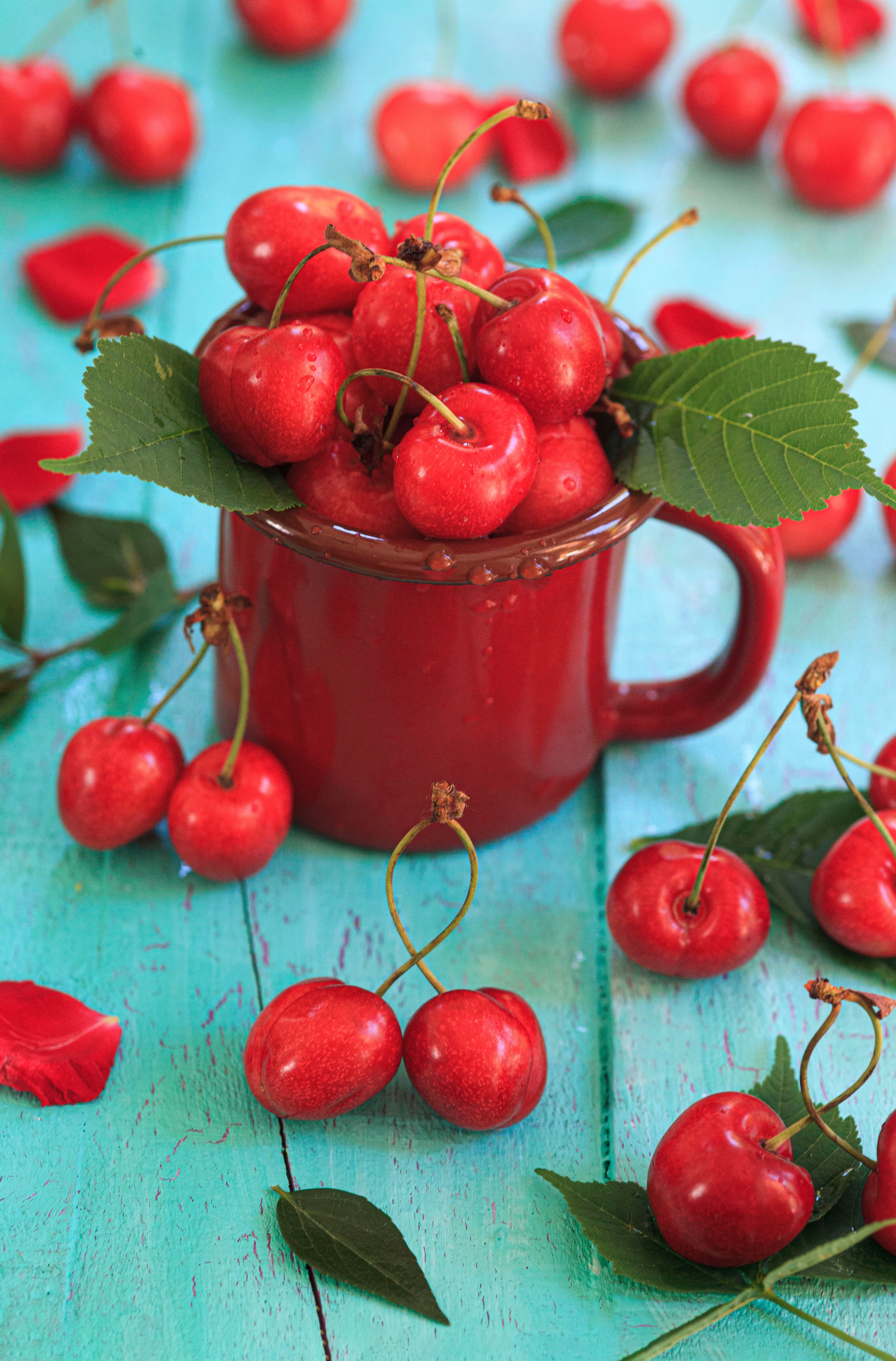 Metal Cup of Cherries · Free Stock Photo