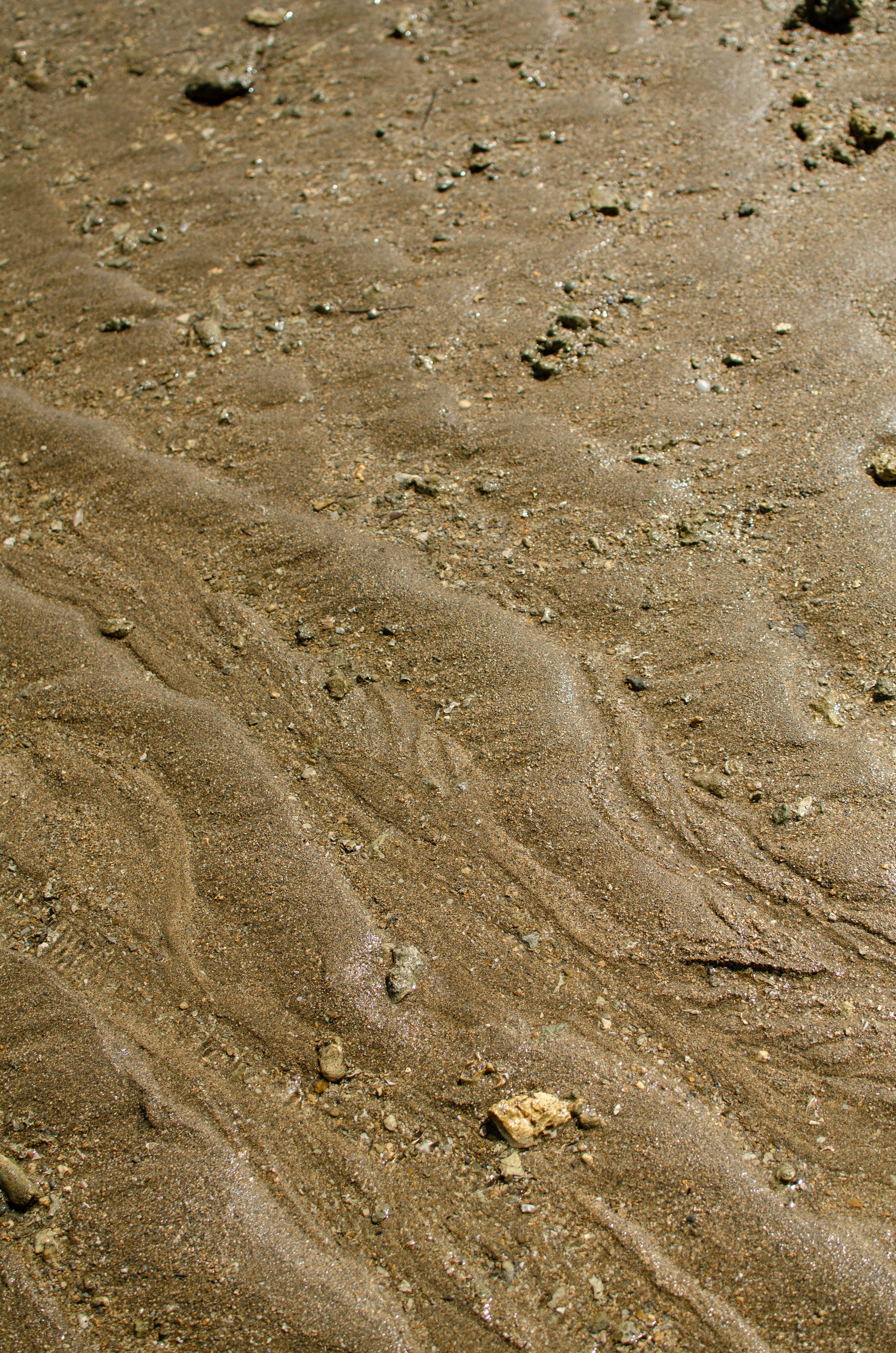 Wet Sand on Ground · Free Stock Photo