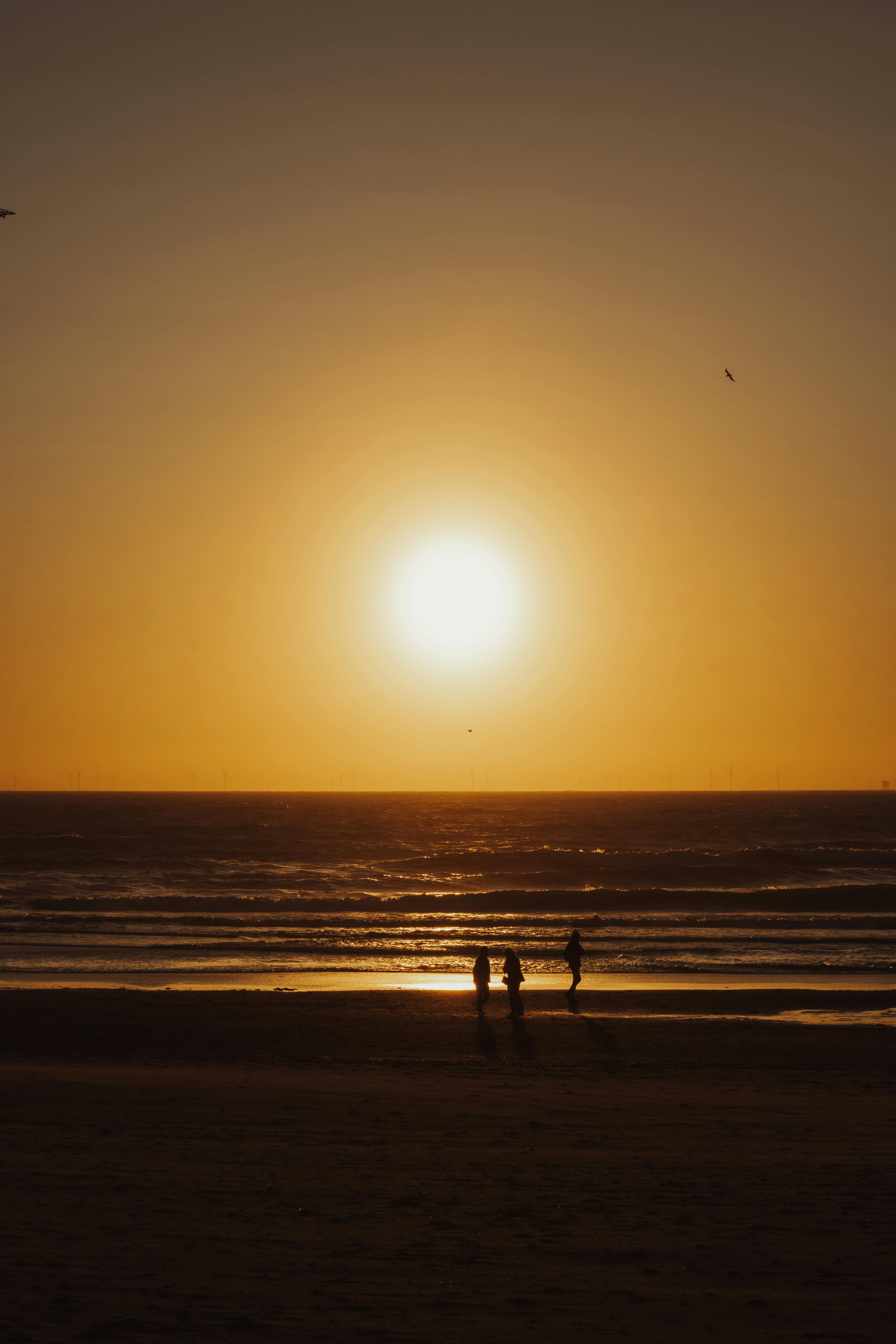 Sun over Sea Shore at Sunset · Free Stock Photo