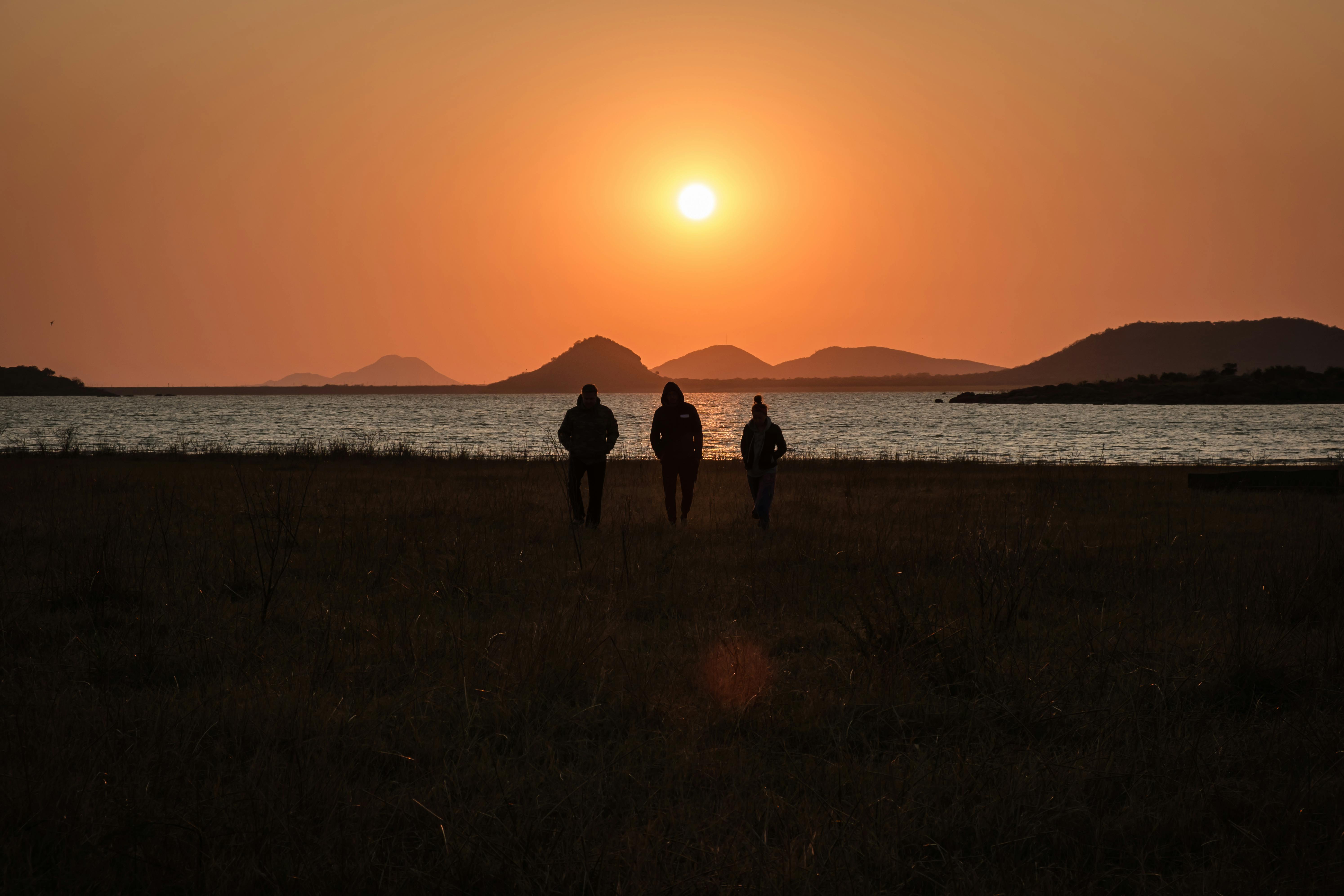 Why Steve - Photography