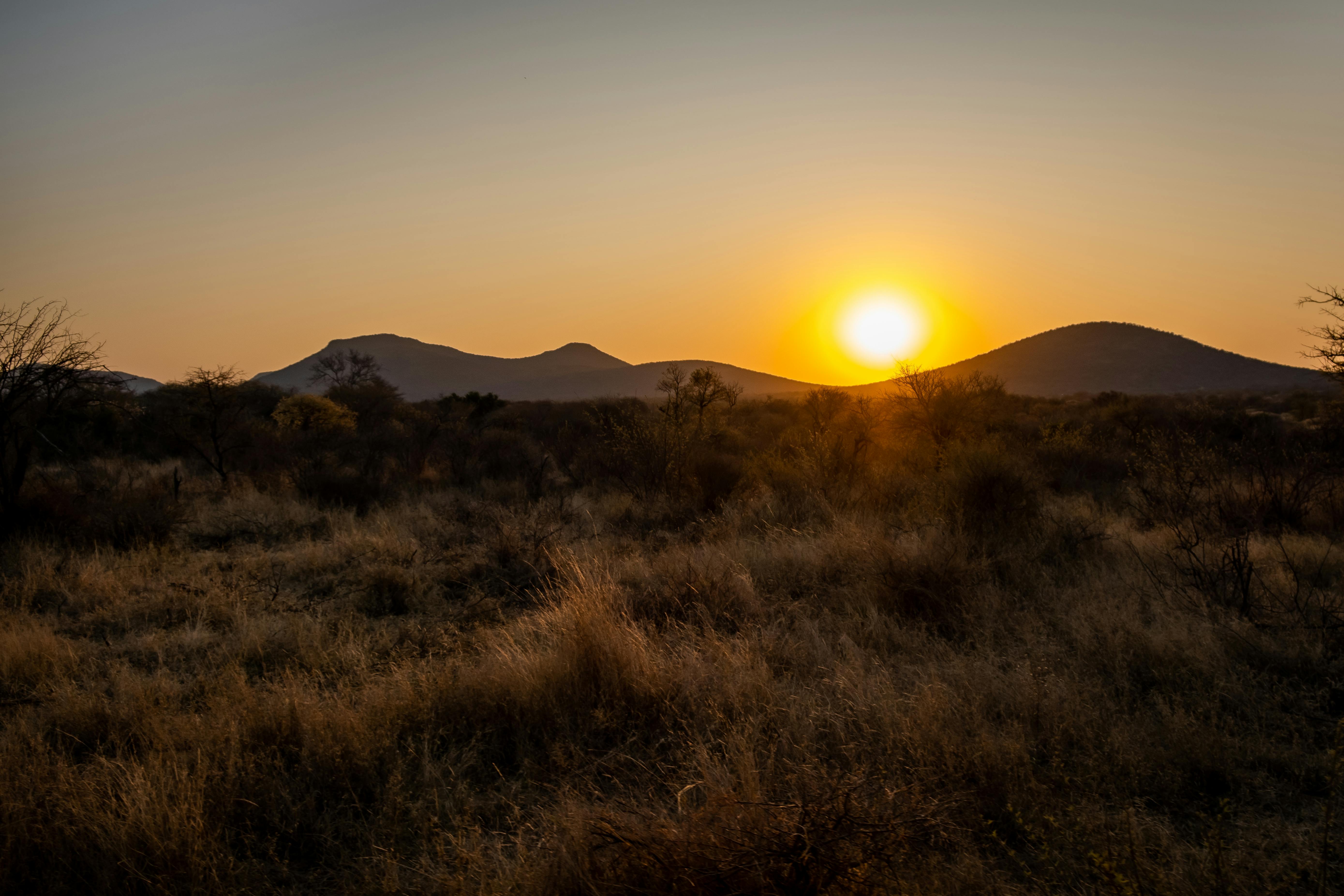 Mokolodi Nature Reserve in Botswana at Sunset · Free Stock Photo
