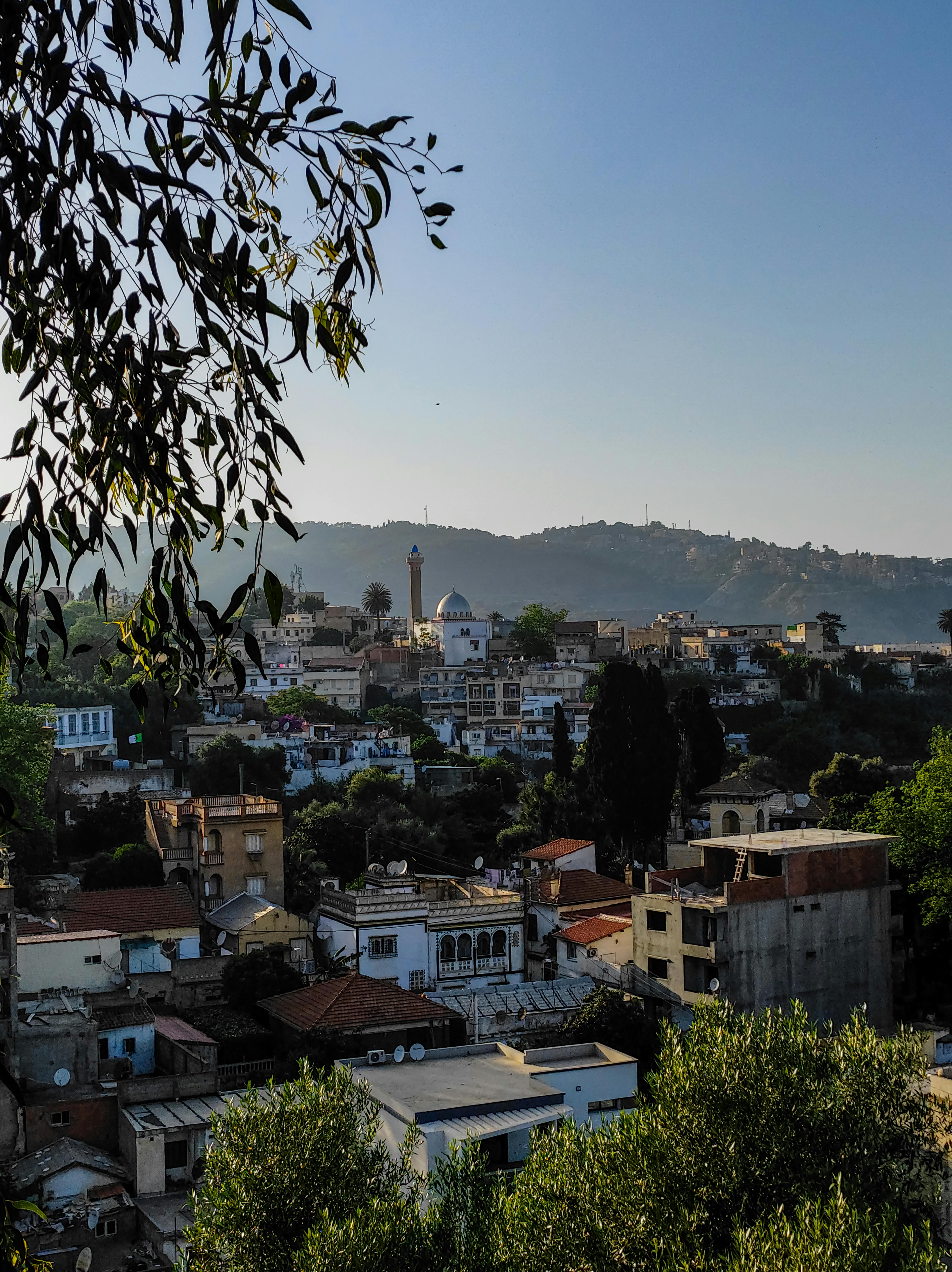 Alger Alger Algeria Building Photos, Download The BEST Free Alger Alger ...