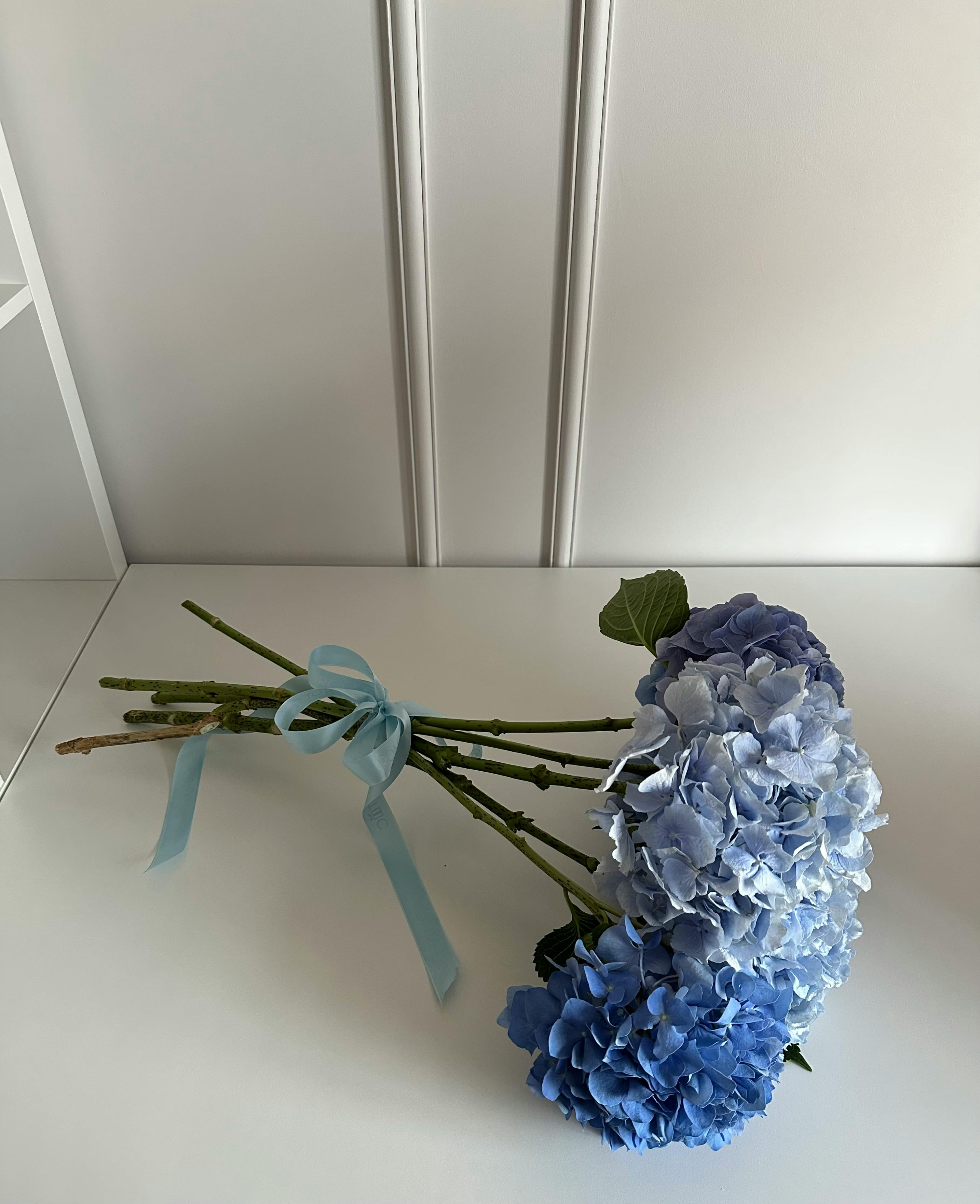 Bunch of Hydrangeas · Free Stock Photo