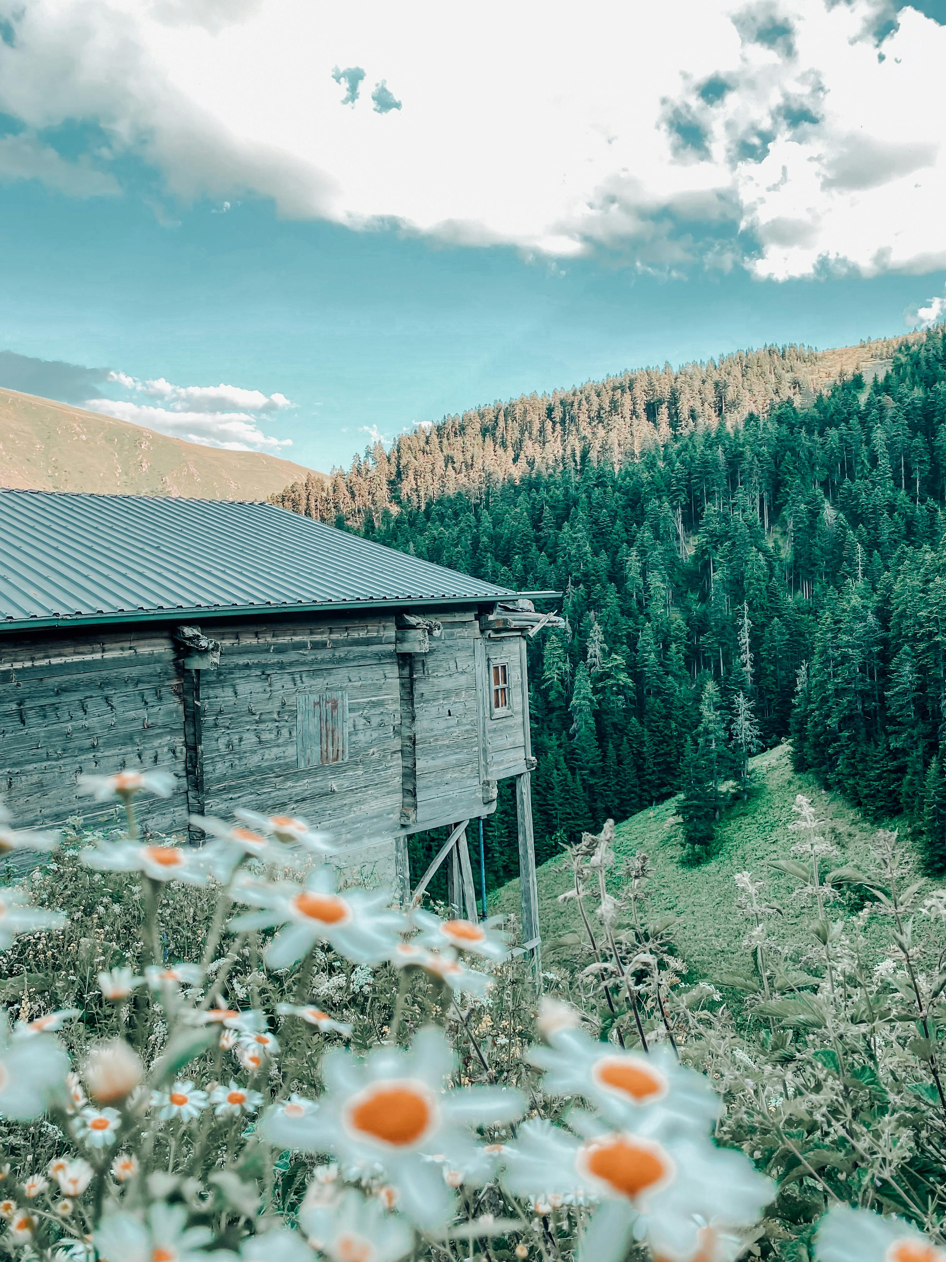 Ali Şenol - Photography