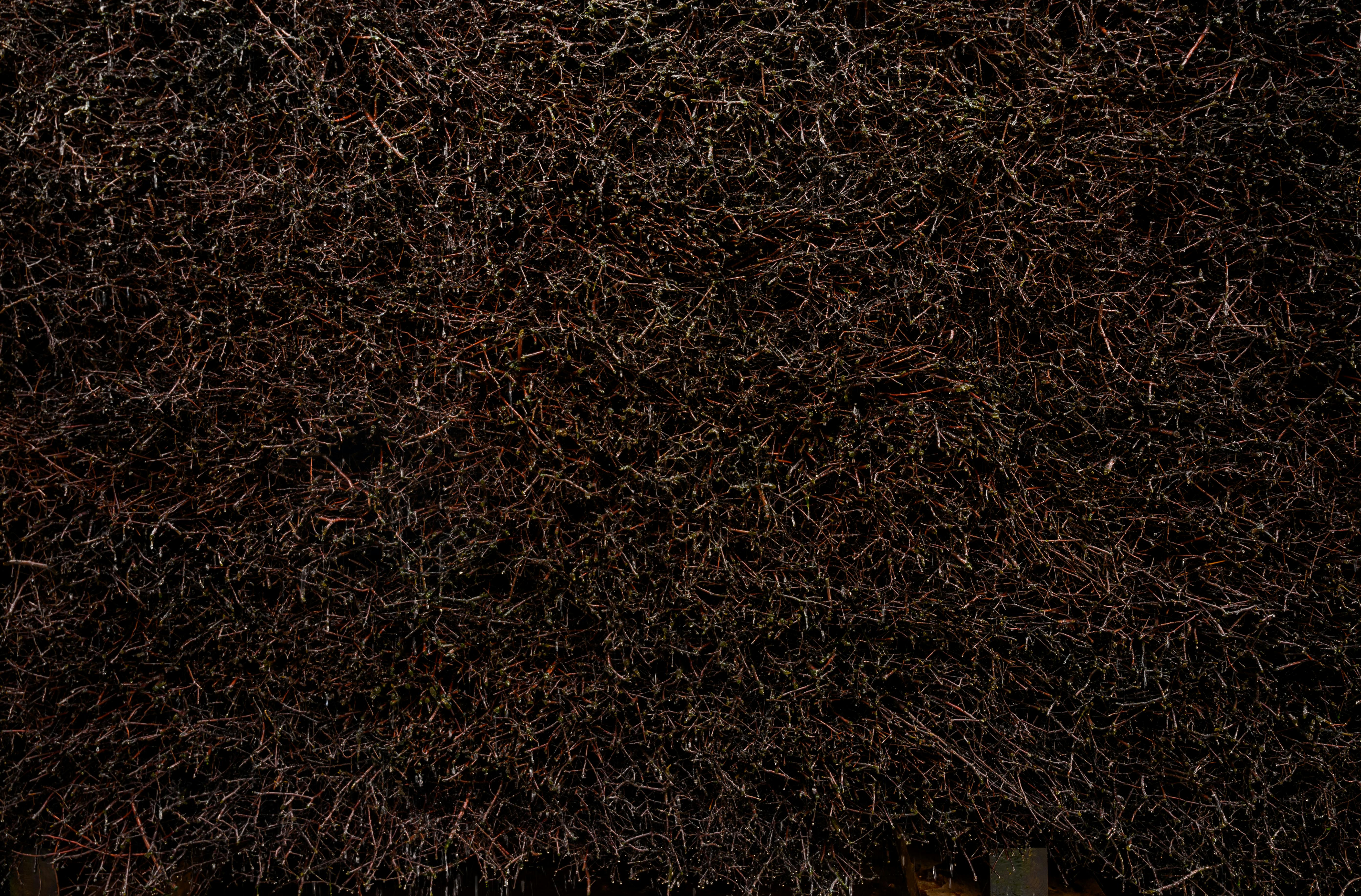 Background For Composting Photos, Download The BEST Free Background For ...