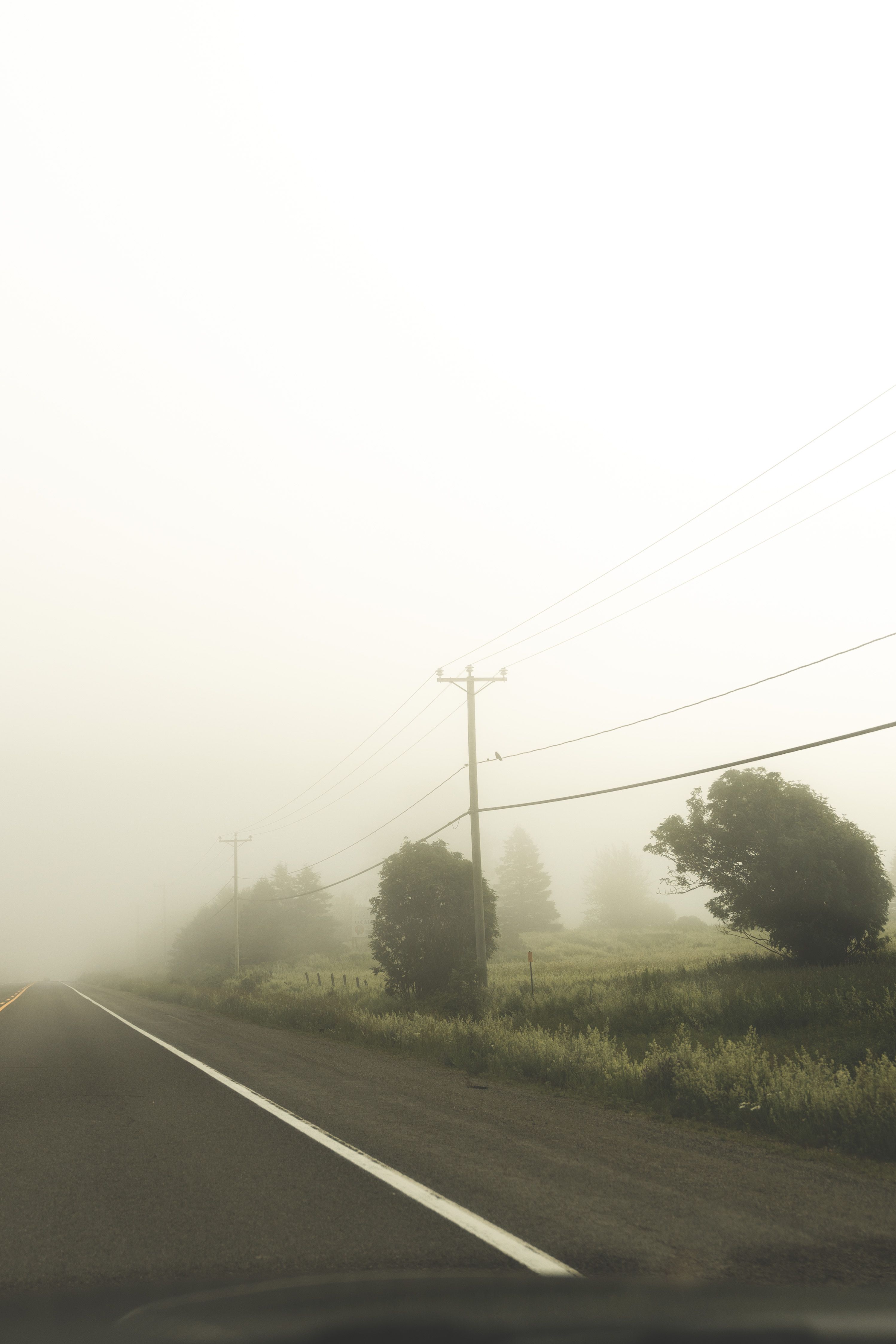 A road with fog and power lines in the distance · Free Stock Photo