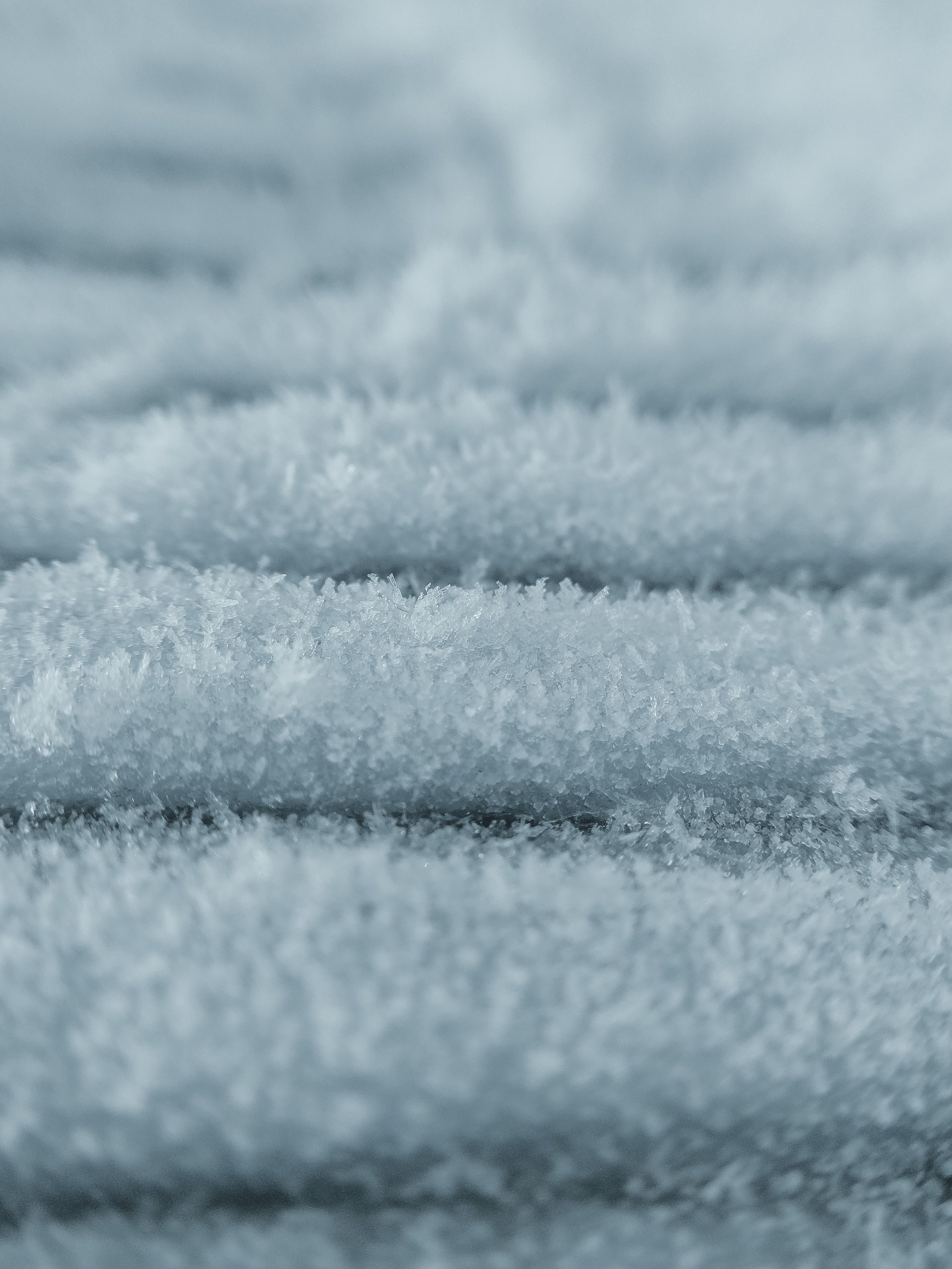 Close-up of a Layer of Snow · Free Stock Photo