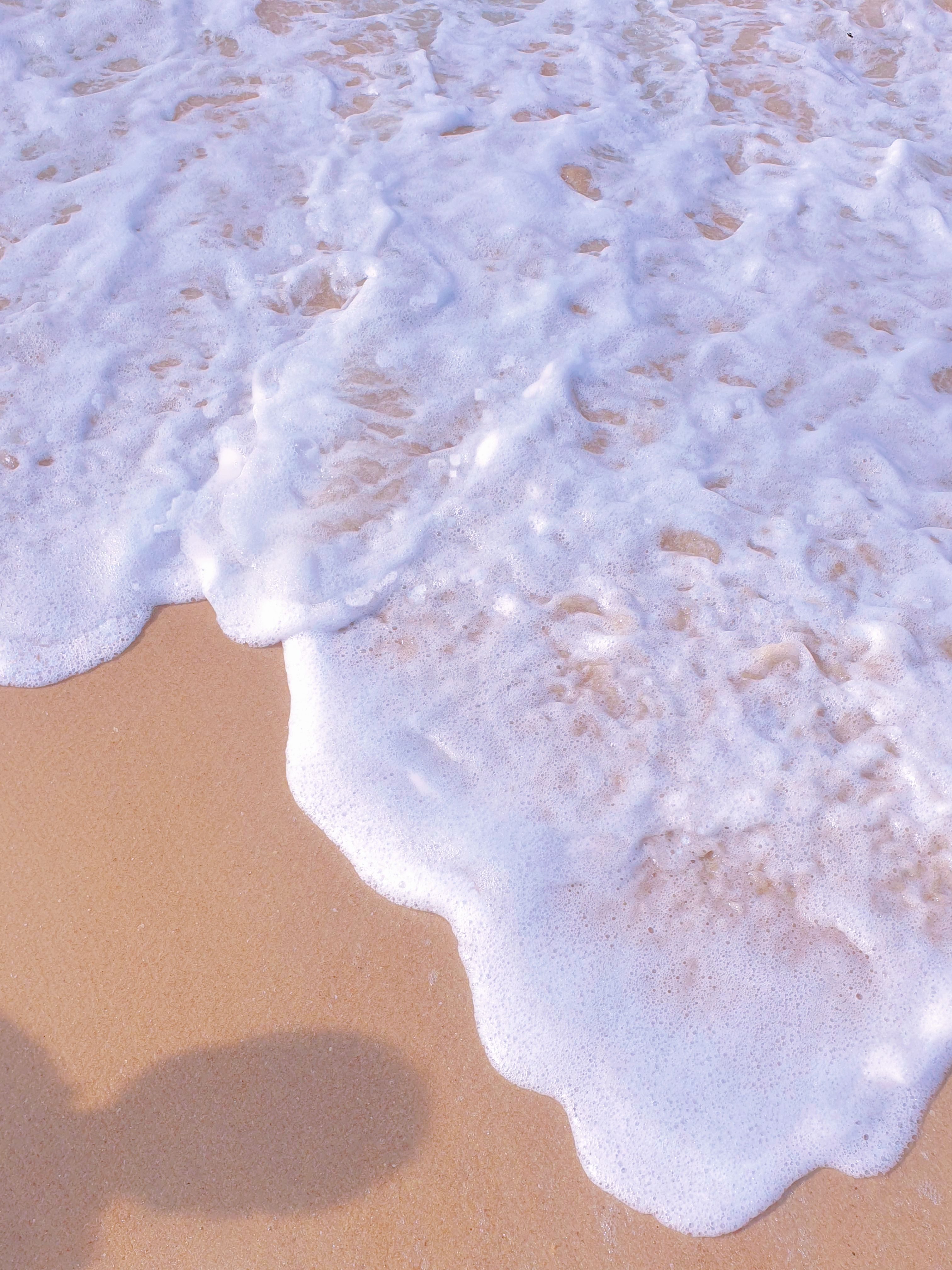 Edge of a Sandy Beach · Free Stock Photo