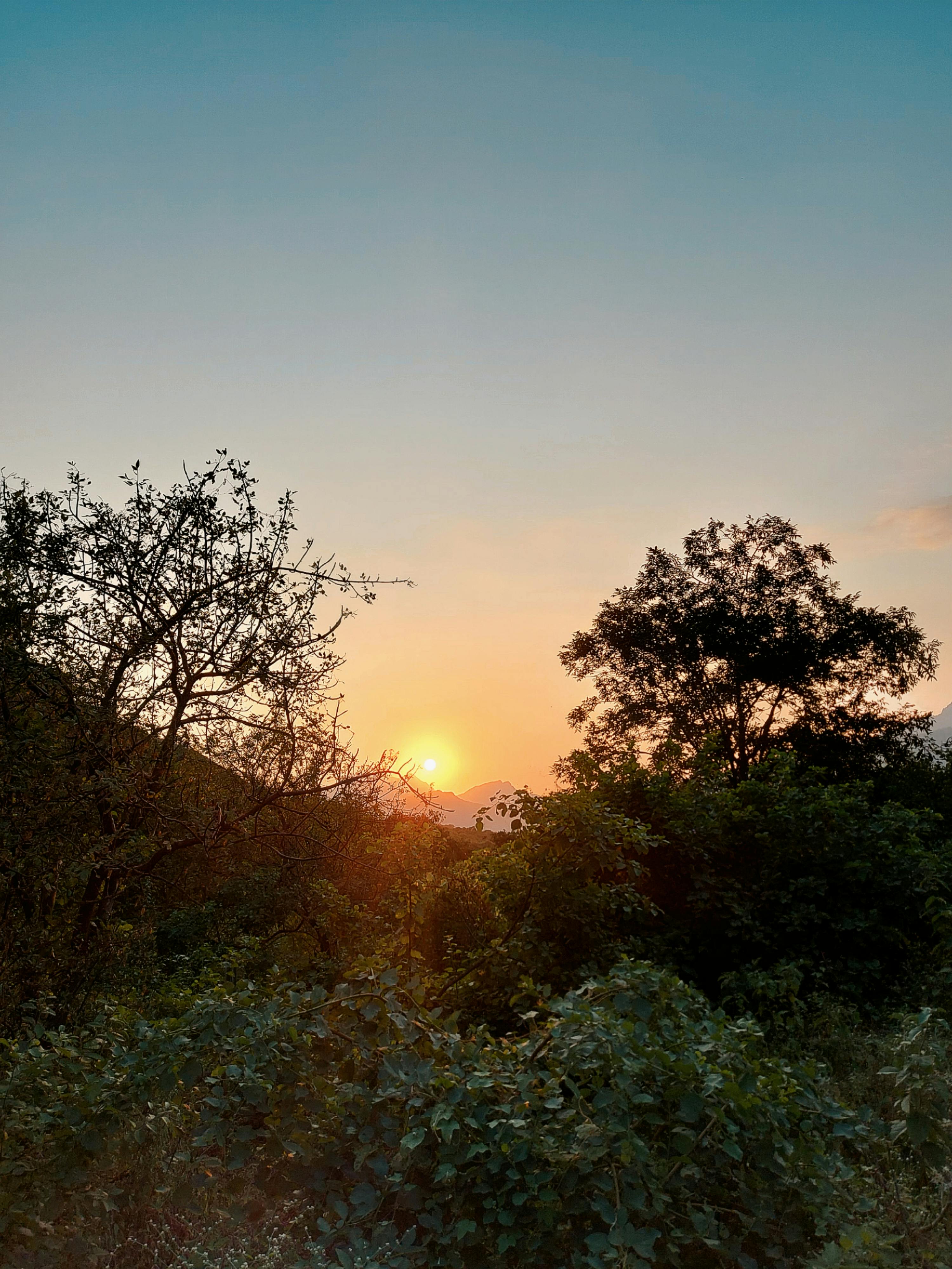 Lidia Sanchez Valenzuela - Fotografie