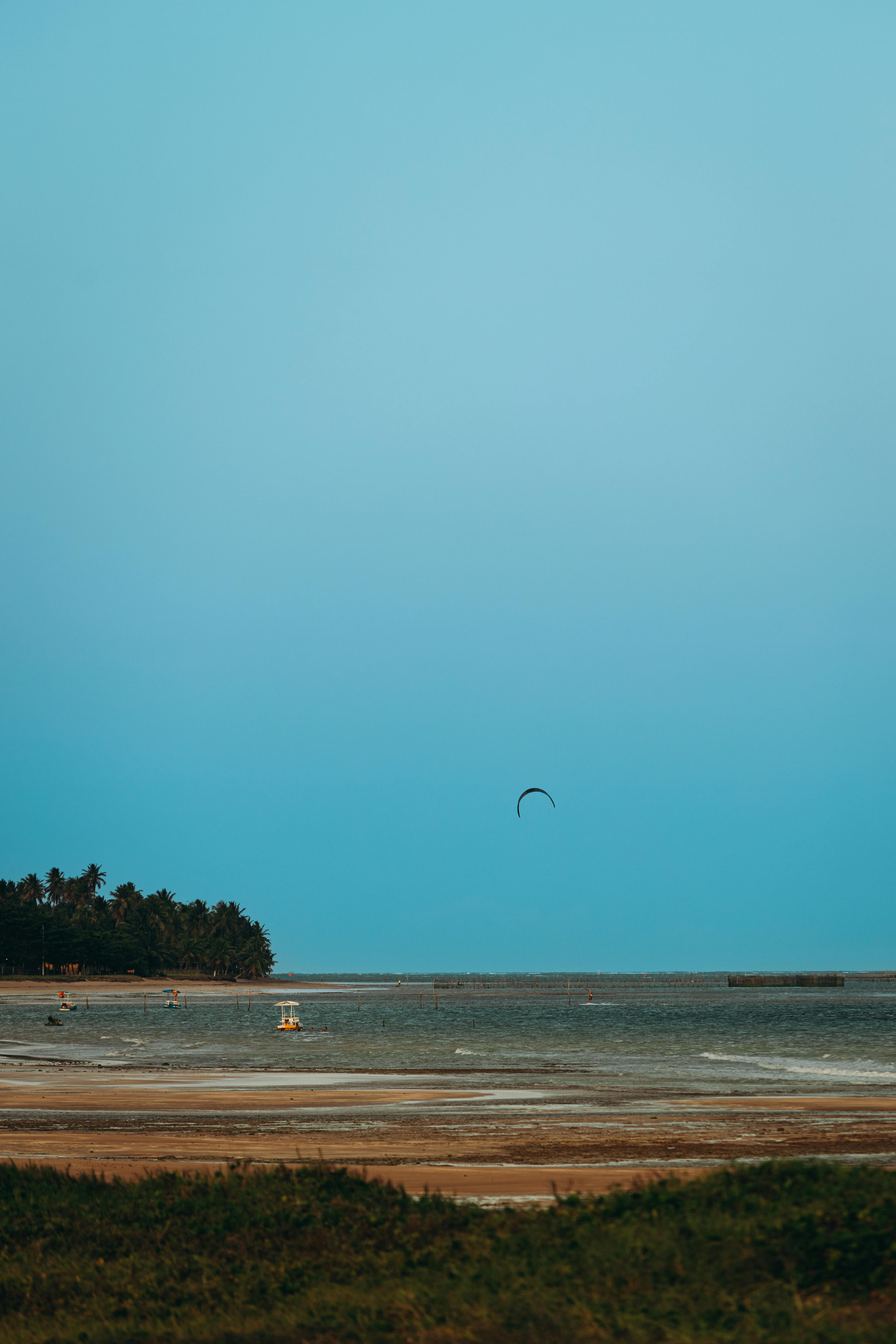 Kites Flying over Sea Coast · Free Stock Photo