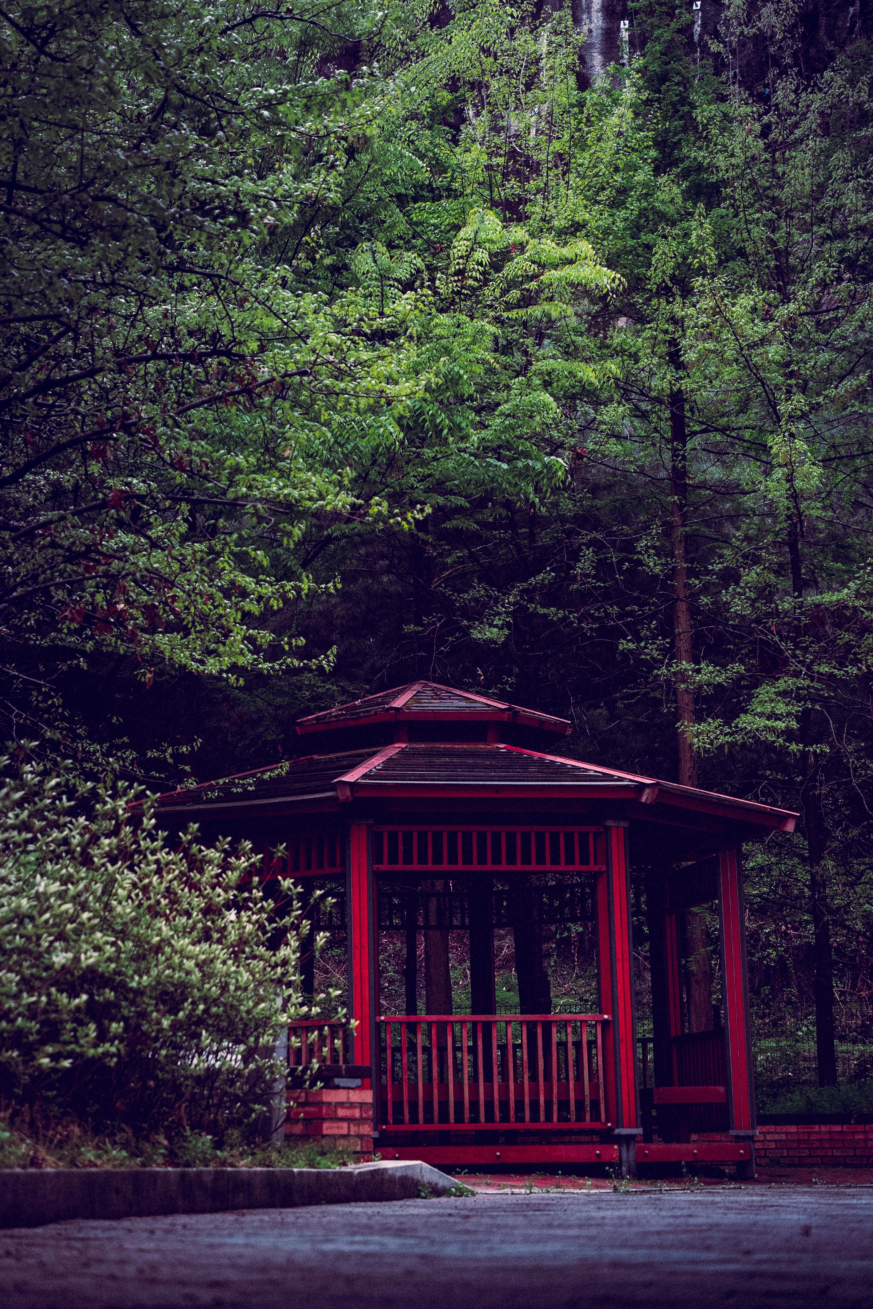 Gazebo in Forest · Free Stock Photo