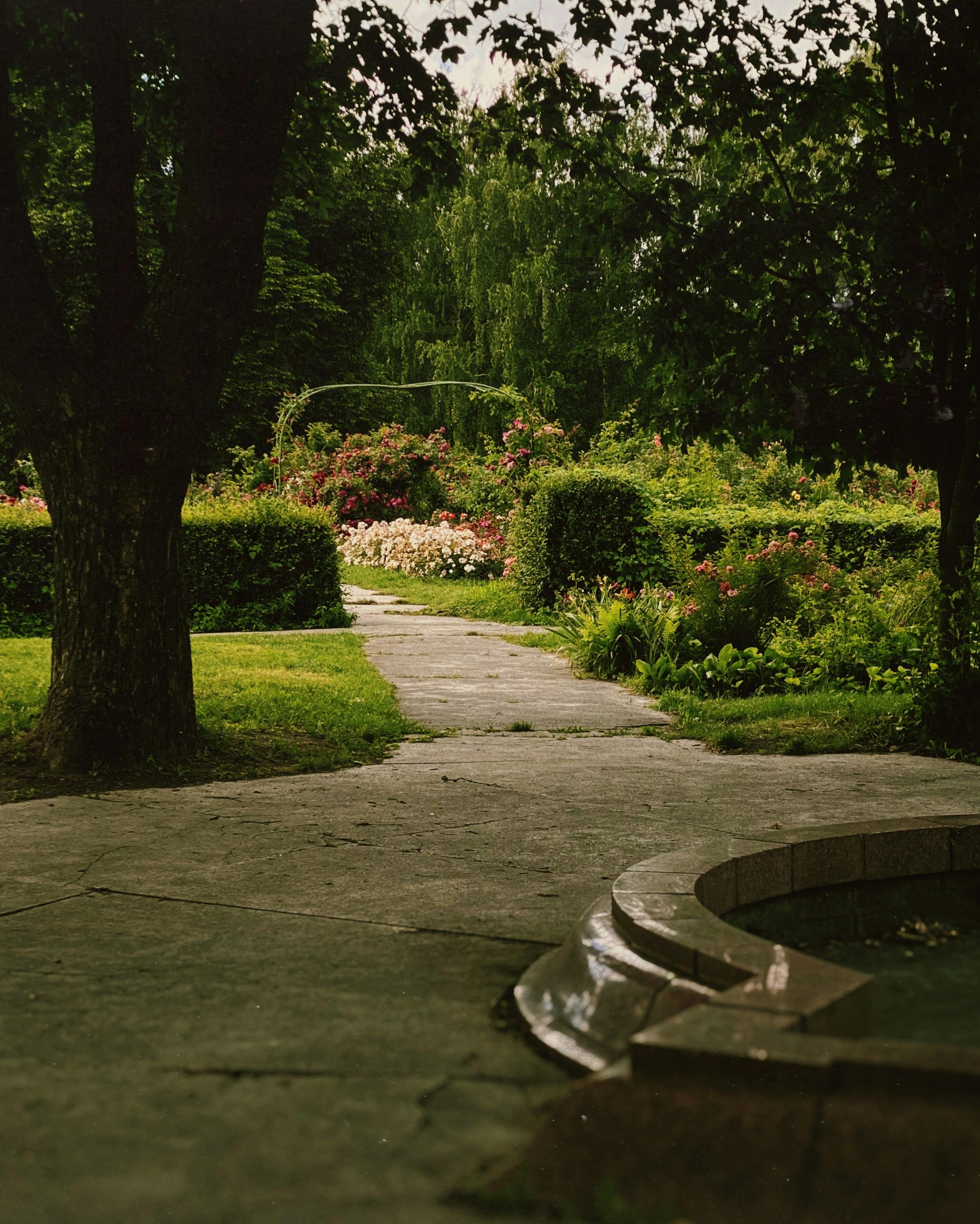 Luxuriant Photos, Download The BEST Free Luxuriant Stock Photos & HD Images