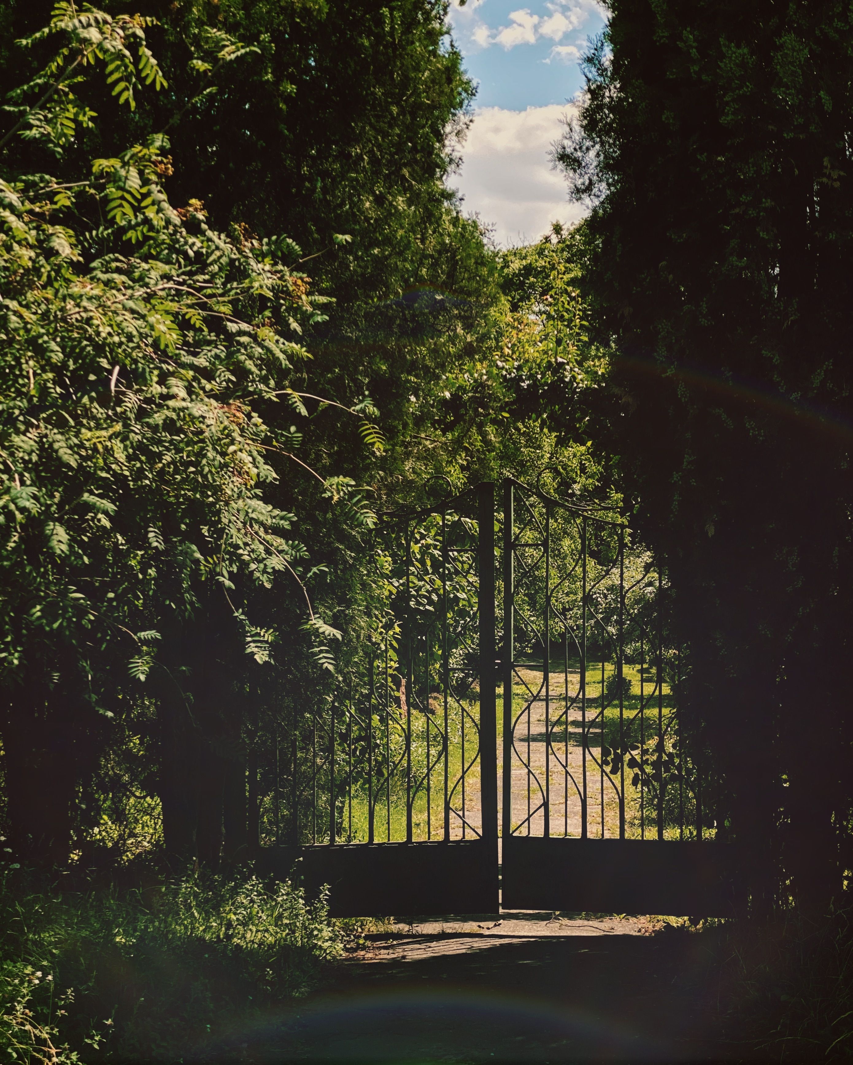 A Gate in the Garden · Free Stock Photo