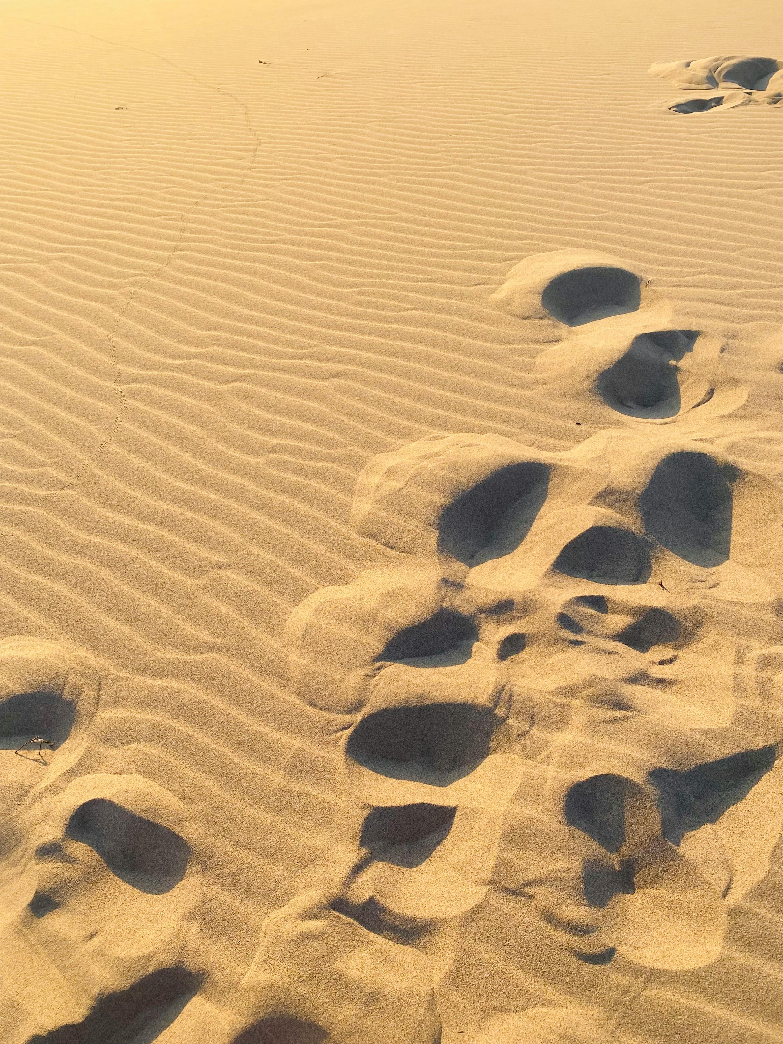 Tracks in Sand · Free Stock Photo