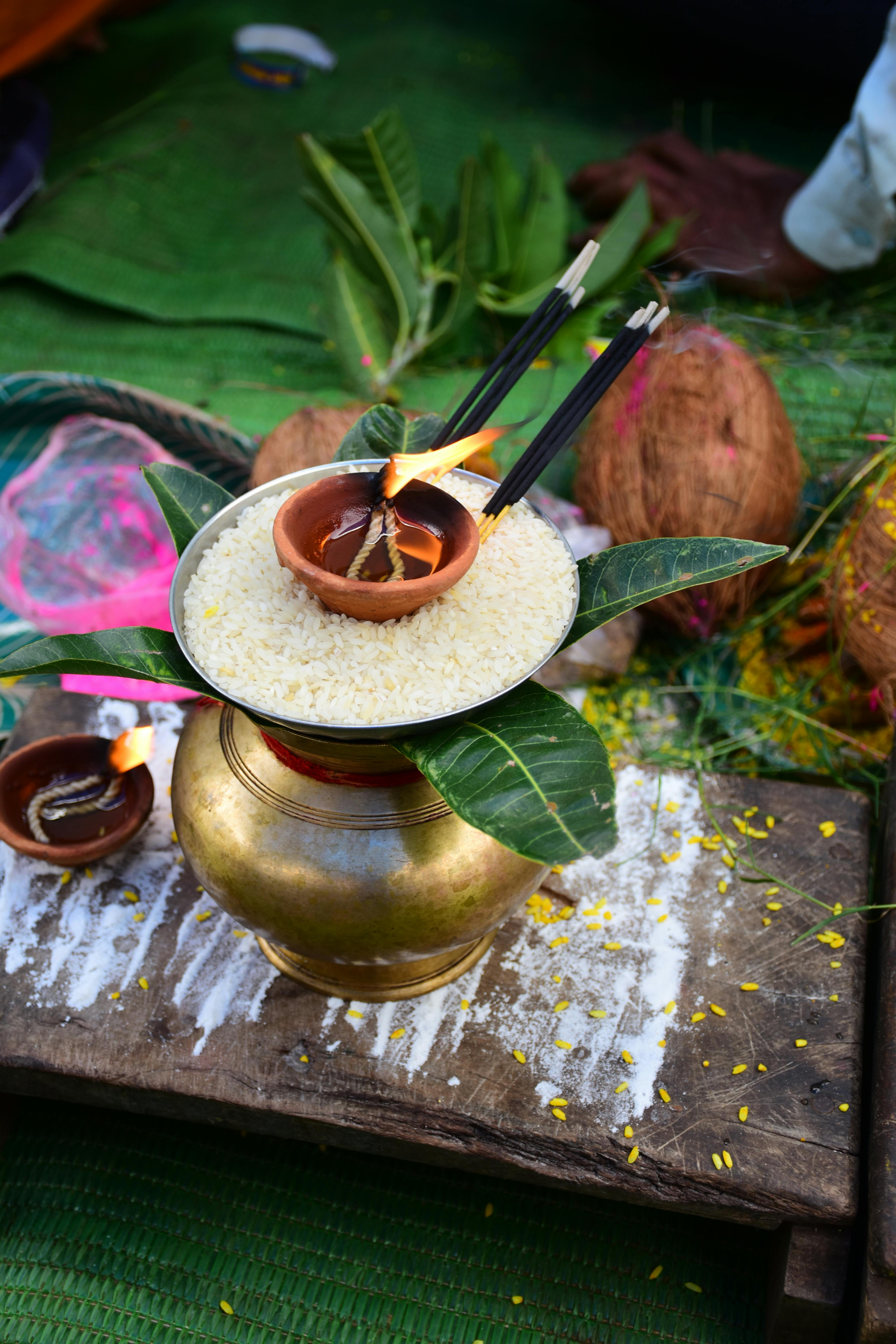 Coconut Pooja Photos, Download The BEST Free Coconut Pooja Stock Photos ...