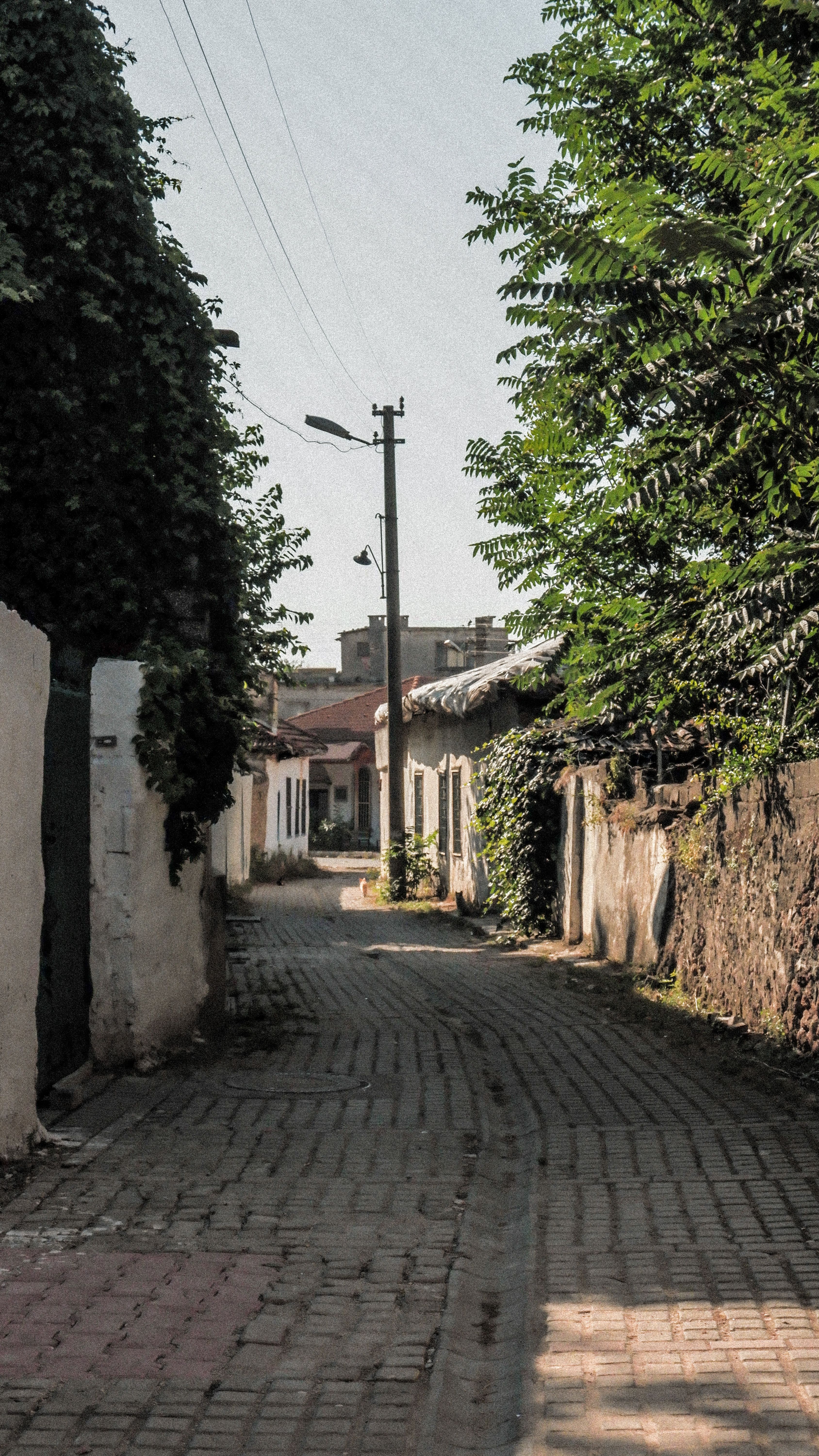 Paving Street in Havran · Free Stock Photo