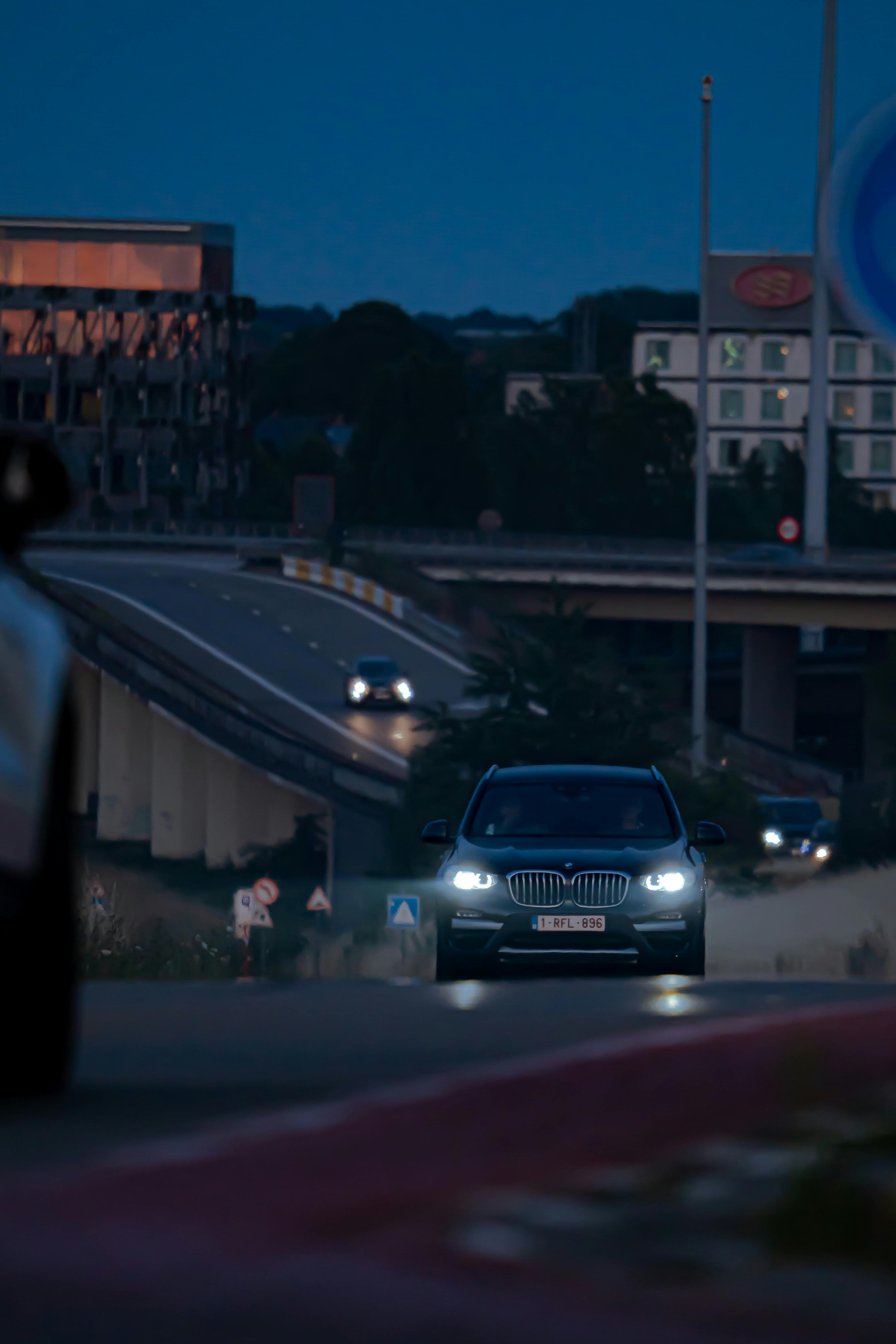 Bules Lehti Photos, Download The BEST Free Bules Lehti Stock Photos ...