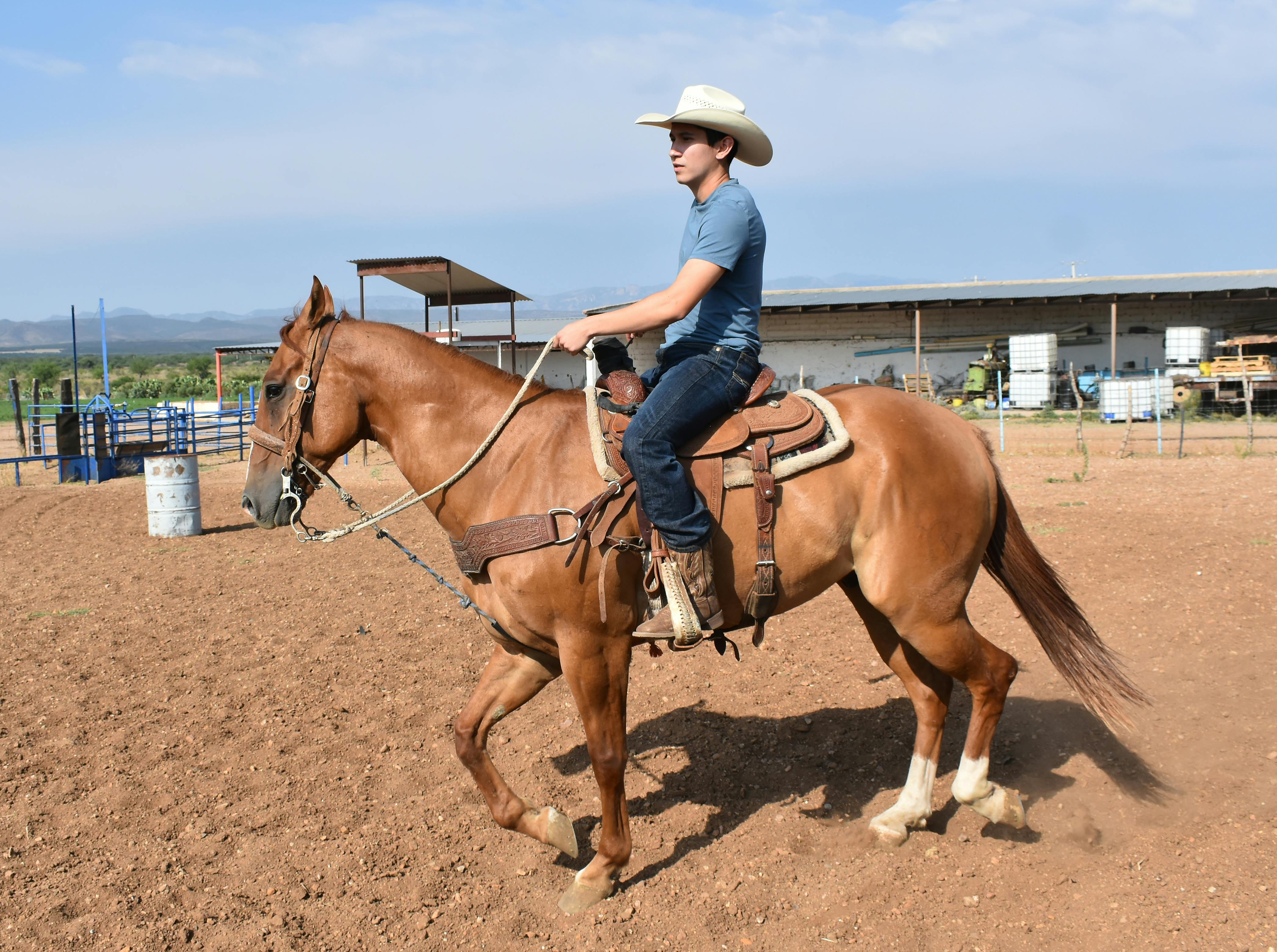 Photography of a Person Riding Horse · Free Stock Photo