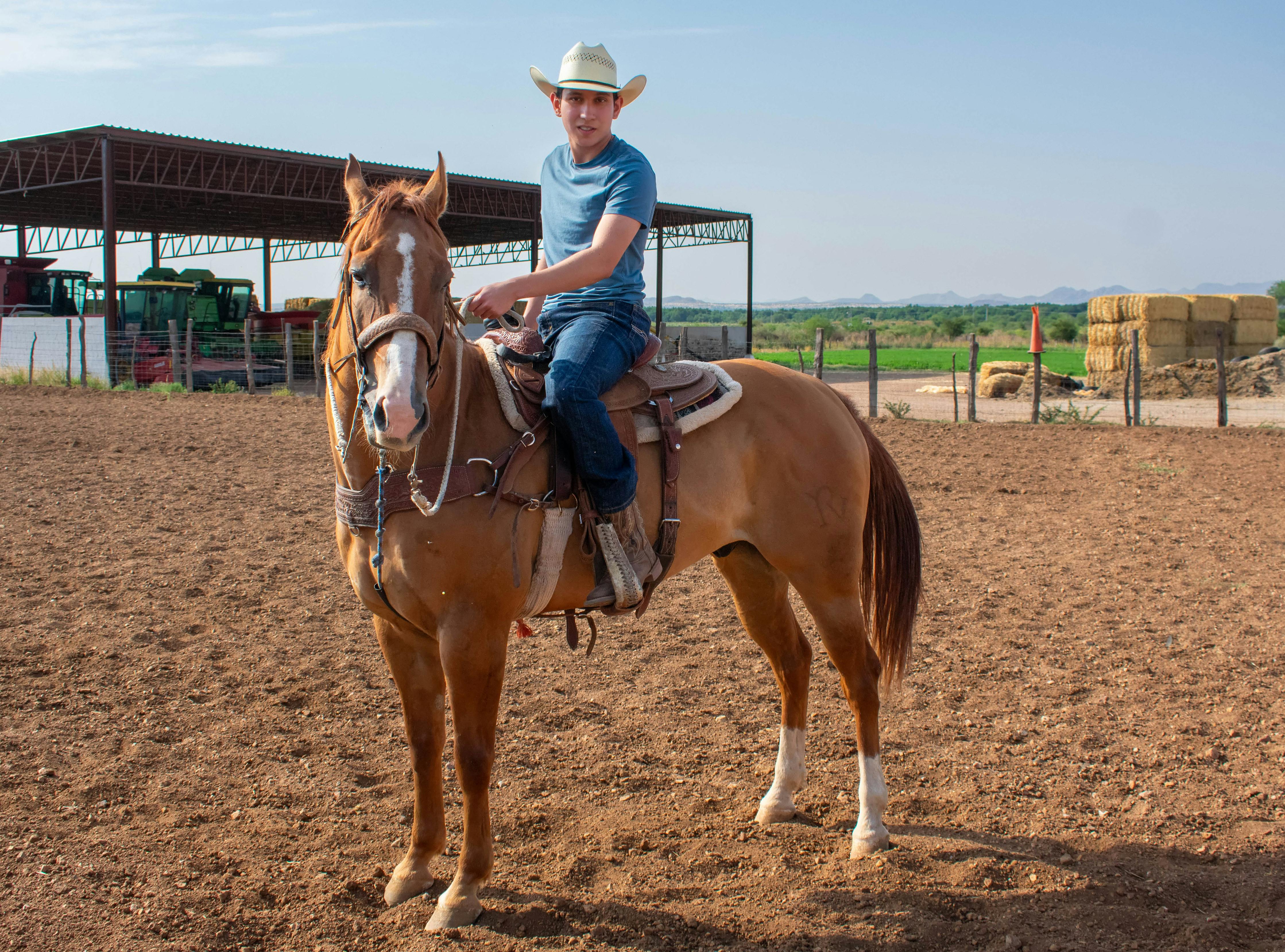 Photography of a Person Riding Horse · Free Stock Photo