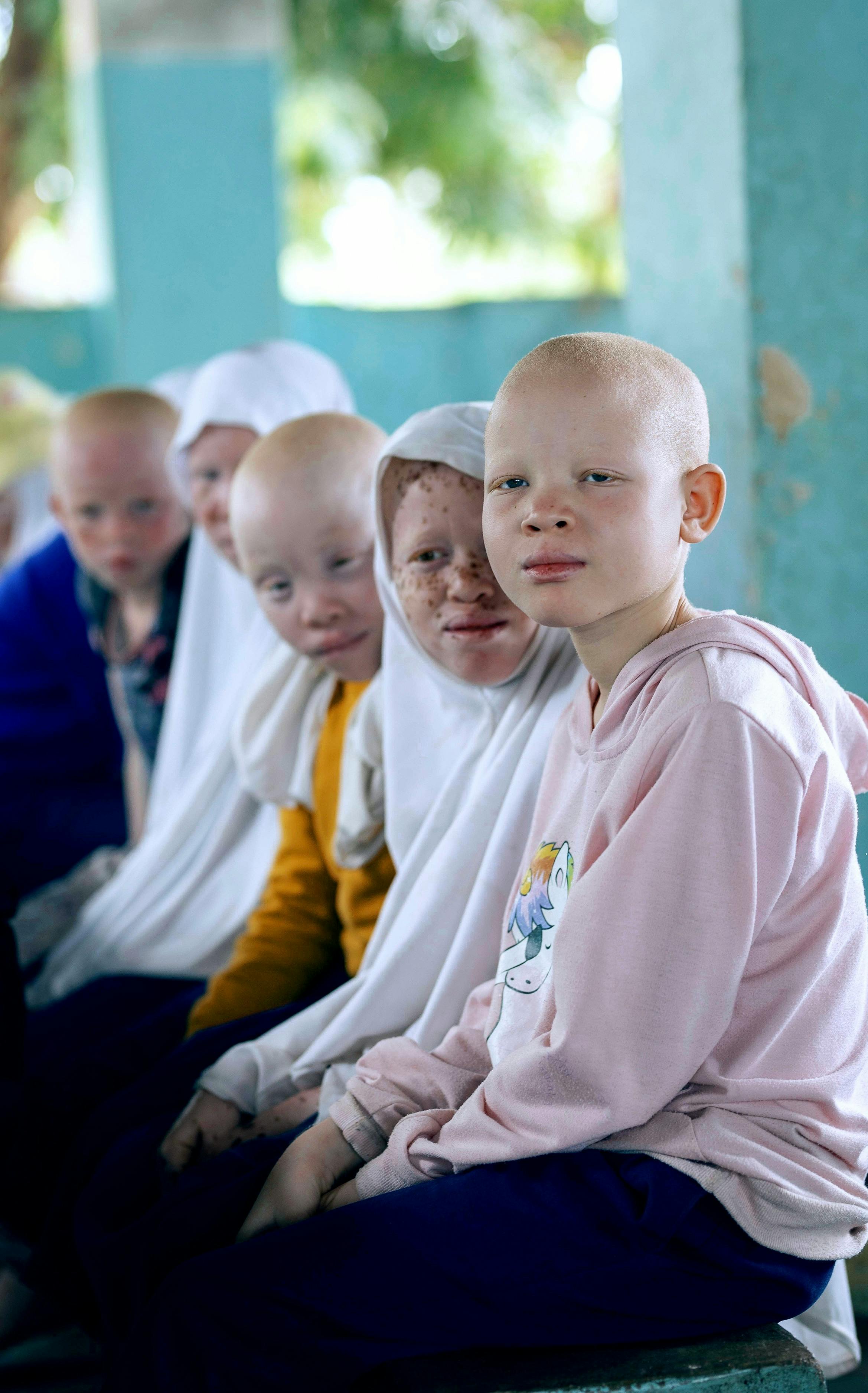 Lineage Group Photos, Download The BEST Free Lineage Group Stock Photos ...