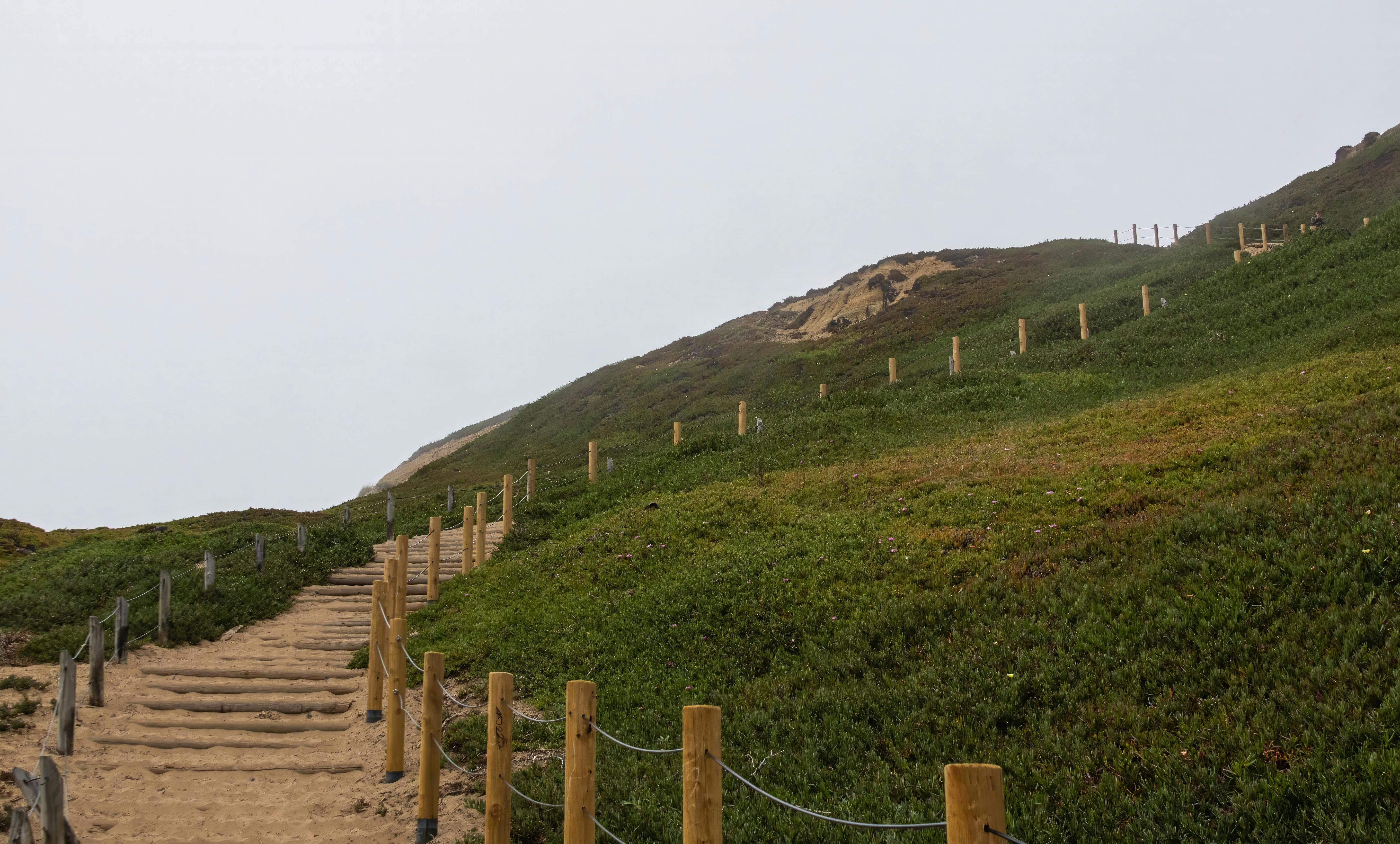 Pathway on Mountain With Blue Wooden Handrails at Daytime · Free Stock ...