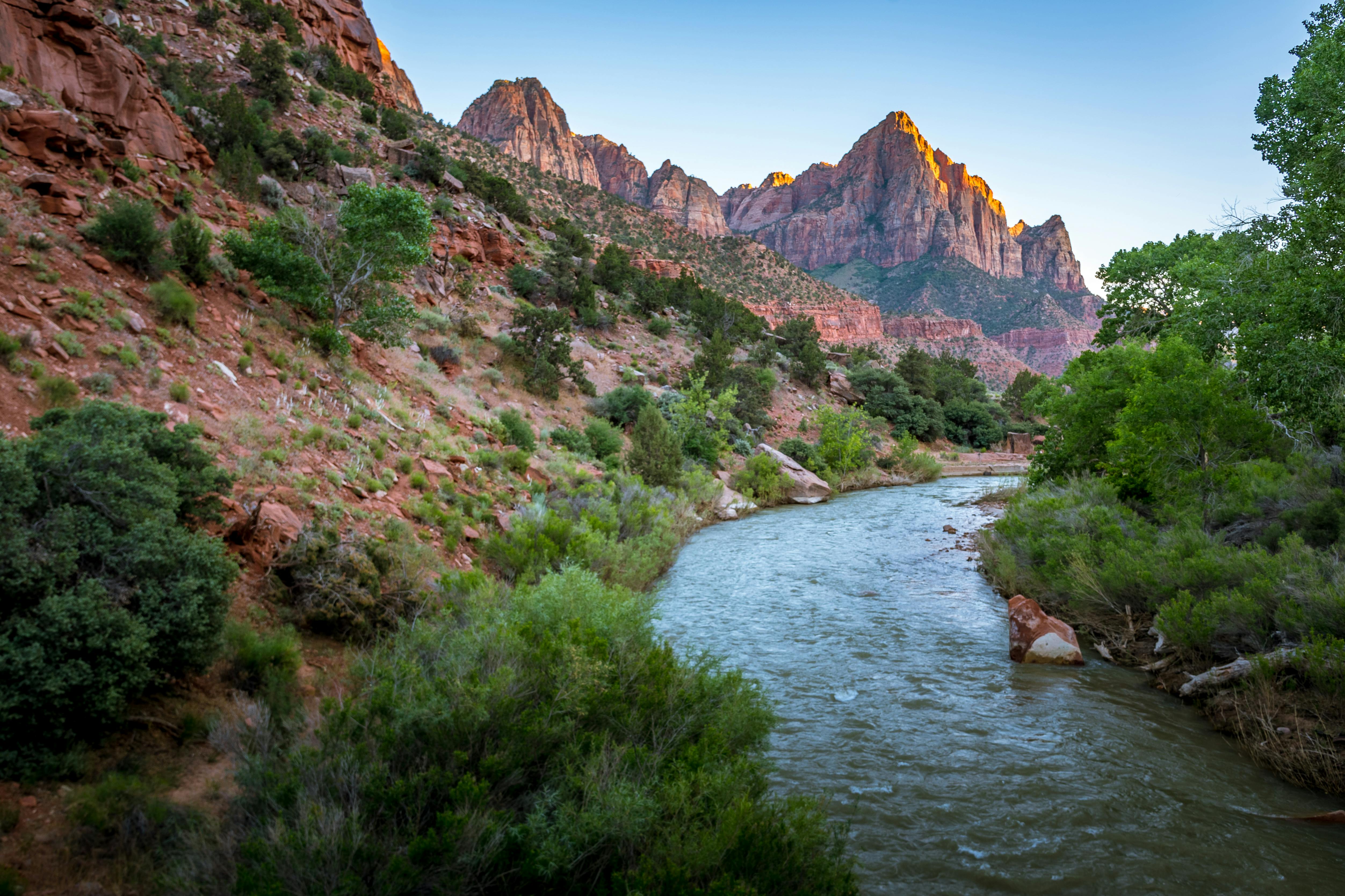 River in Zion National Park · Free Stock Photo