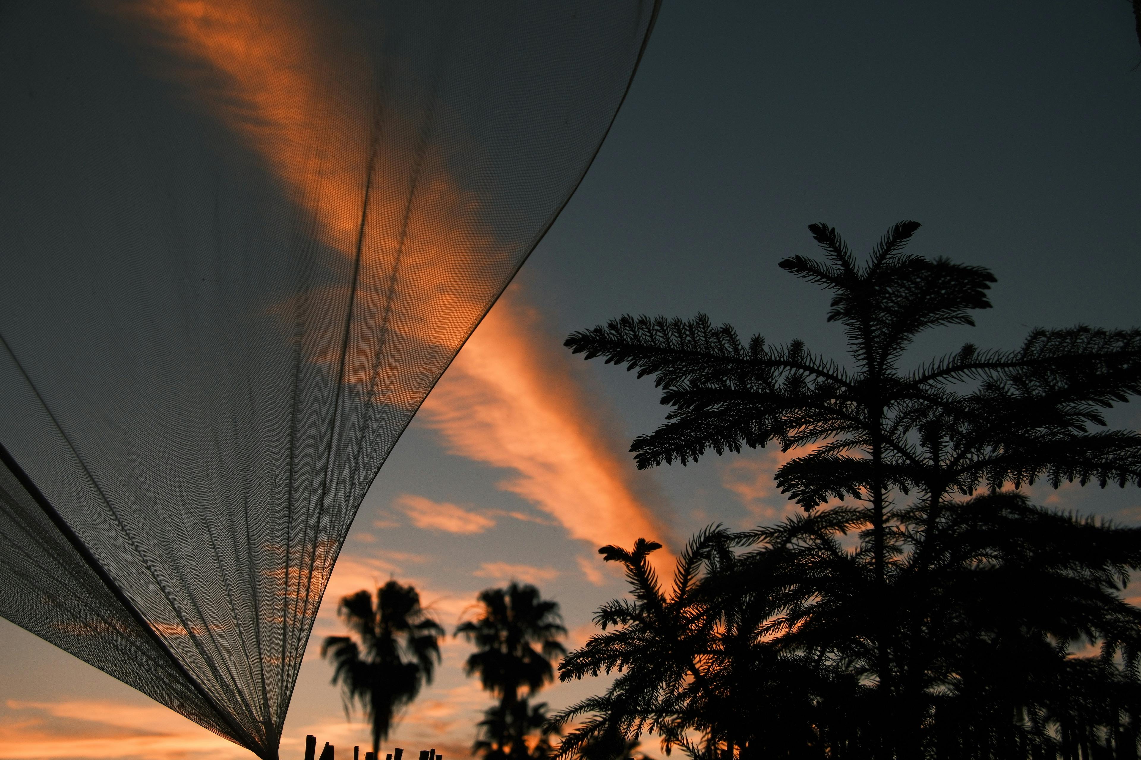 Dramatic Sky at Dusk · Free Stock Photo