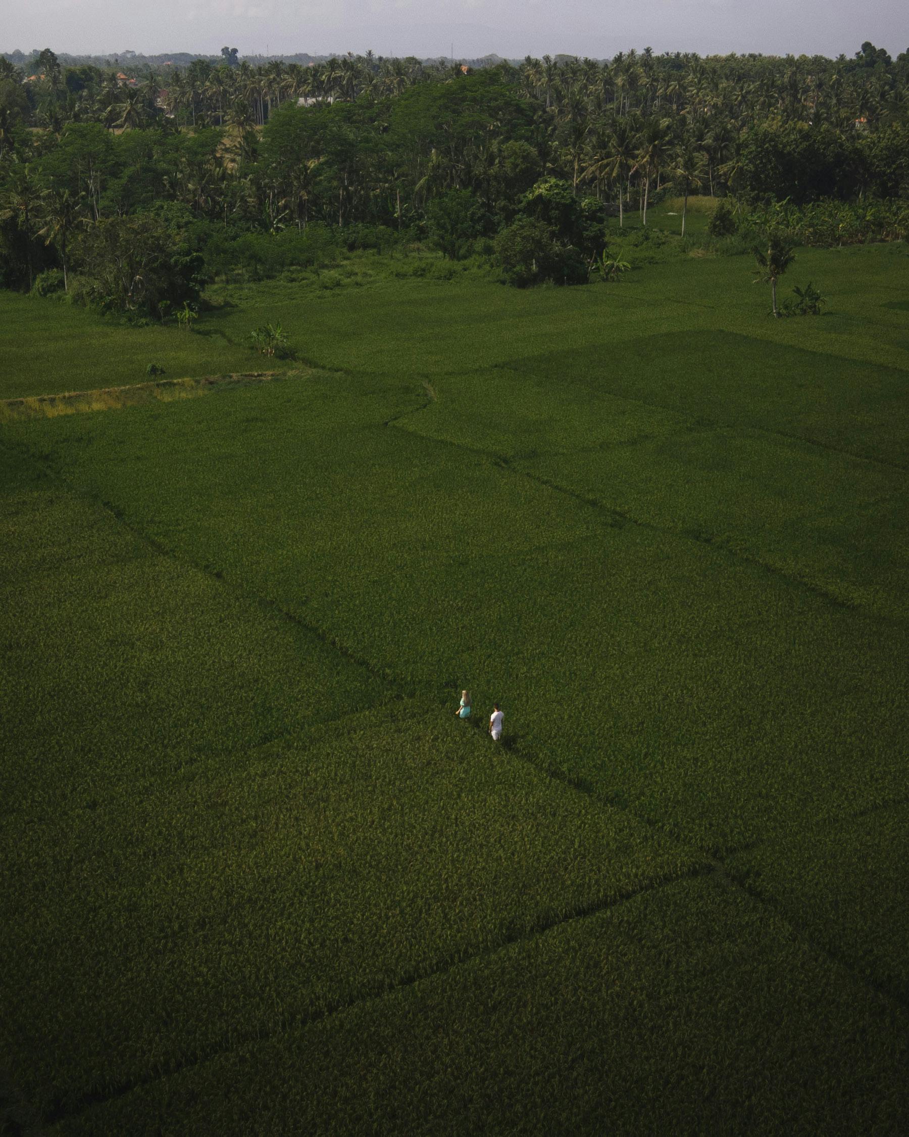 High Angle View of Fields and Trees · Free Stock Photo