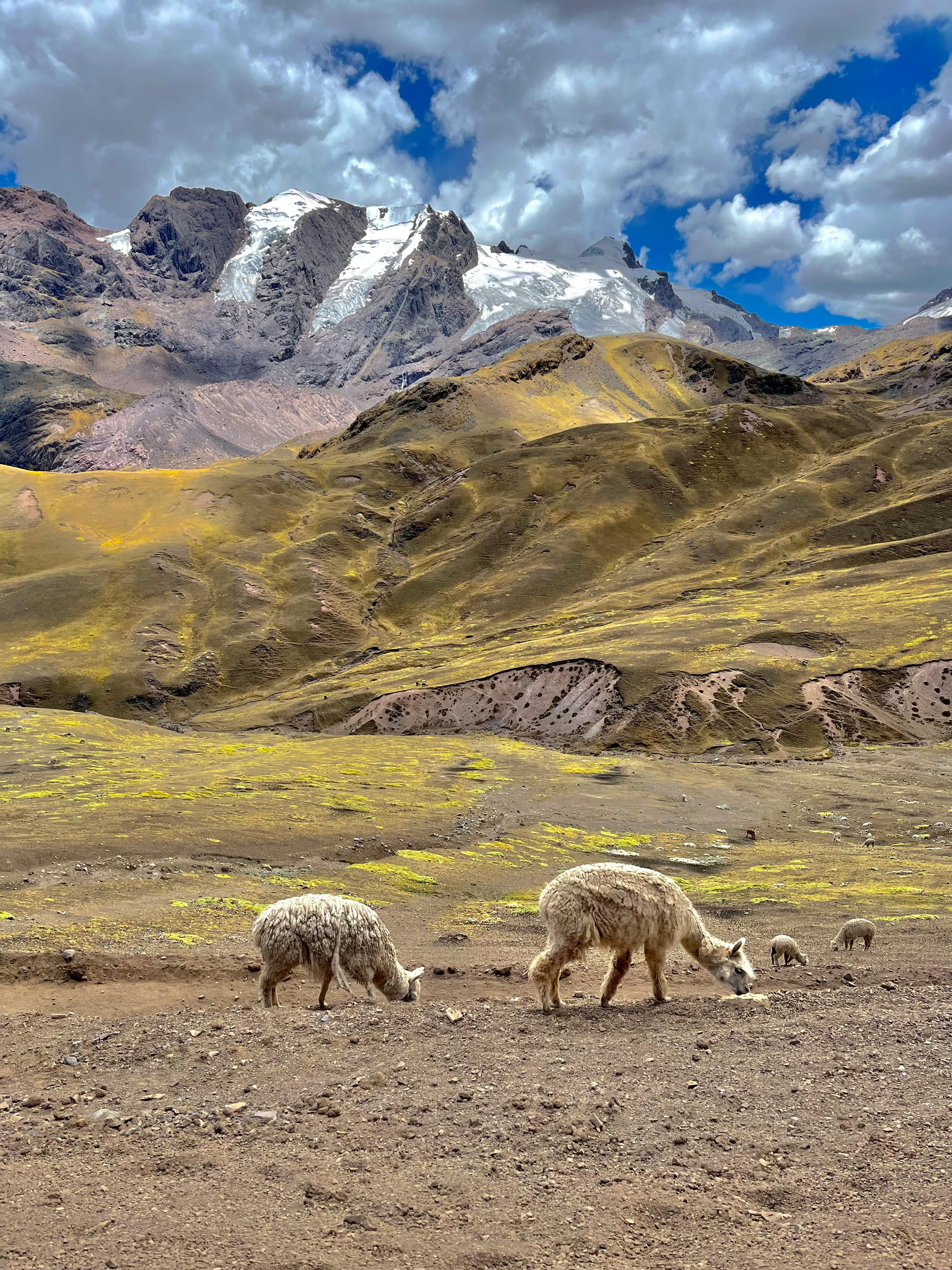 Calvin Paul Javier - Photography