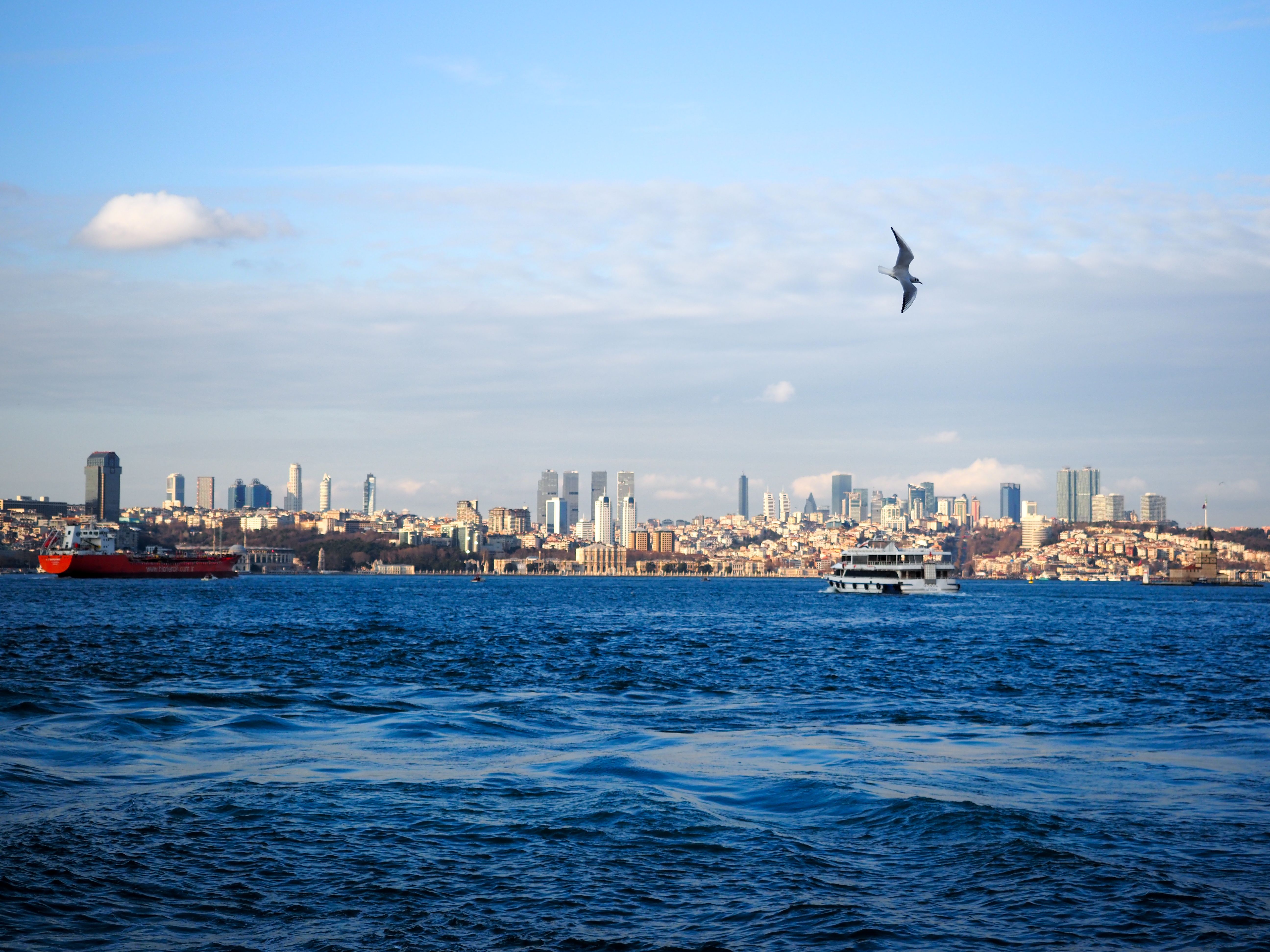 Istanbul City Photos, Download The BEST Free Istanbul City Stock Photos ...