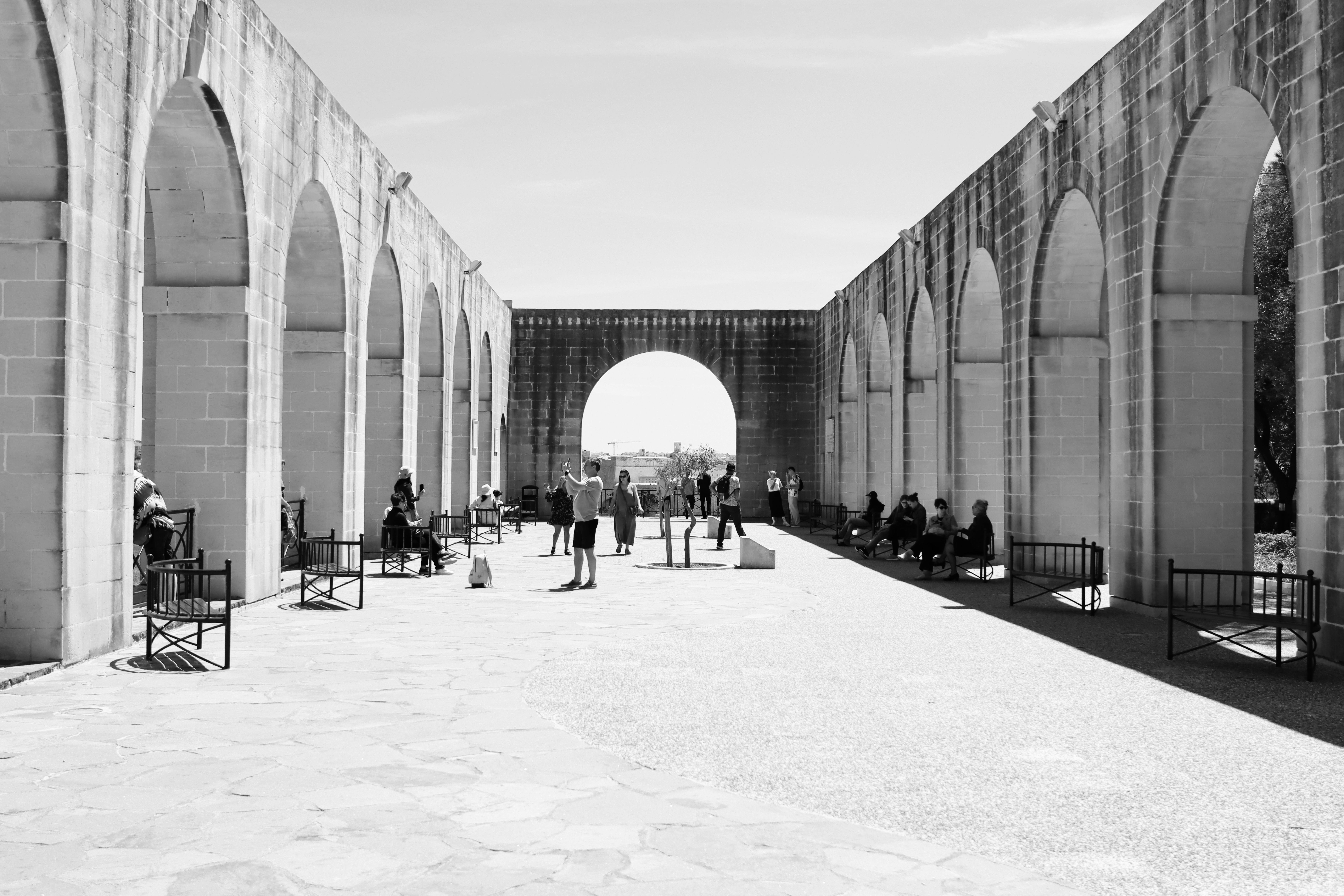 BW · Free Stock Photo
