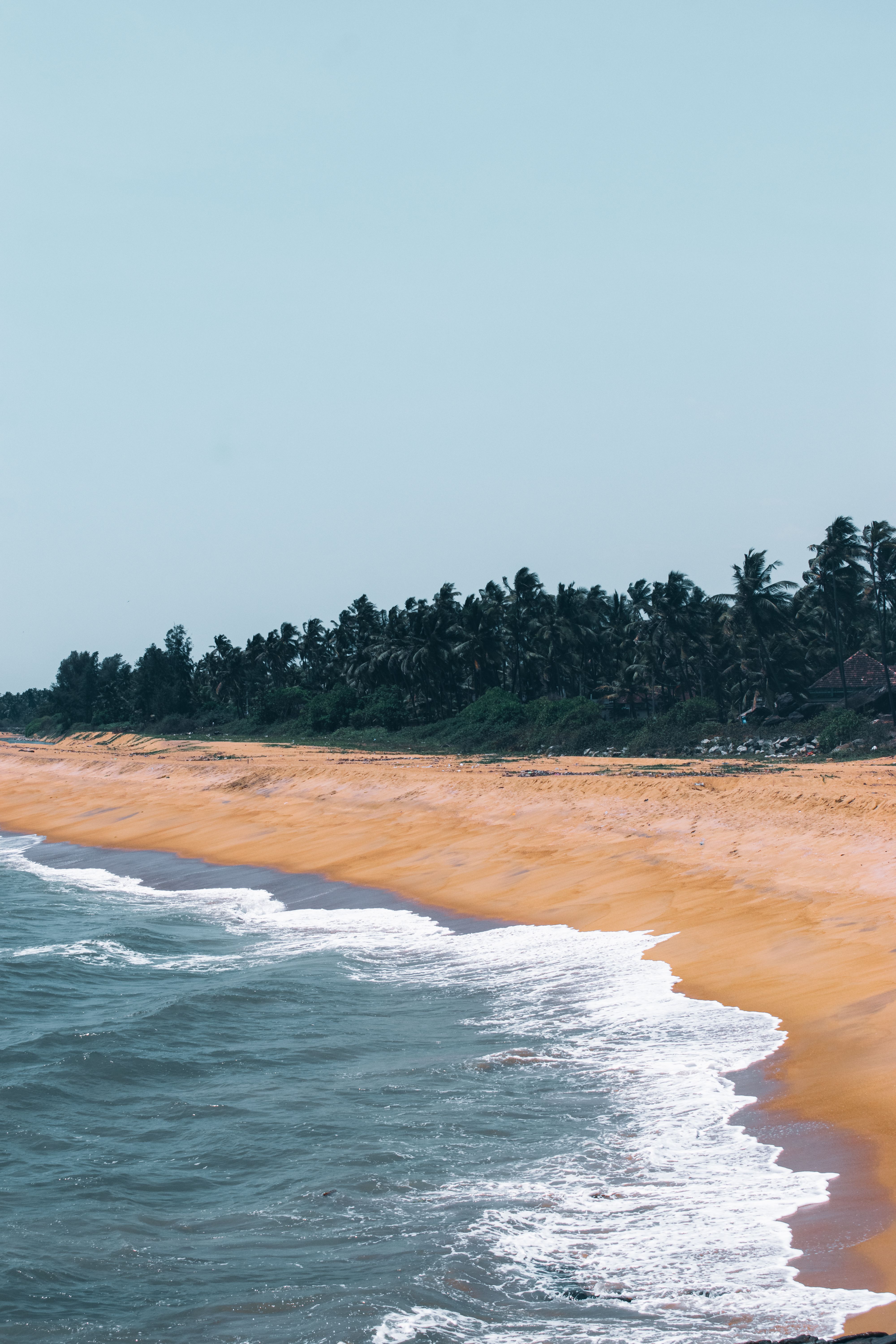 Wave on Beach · Free Stock Photo