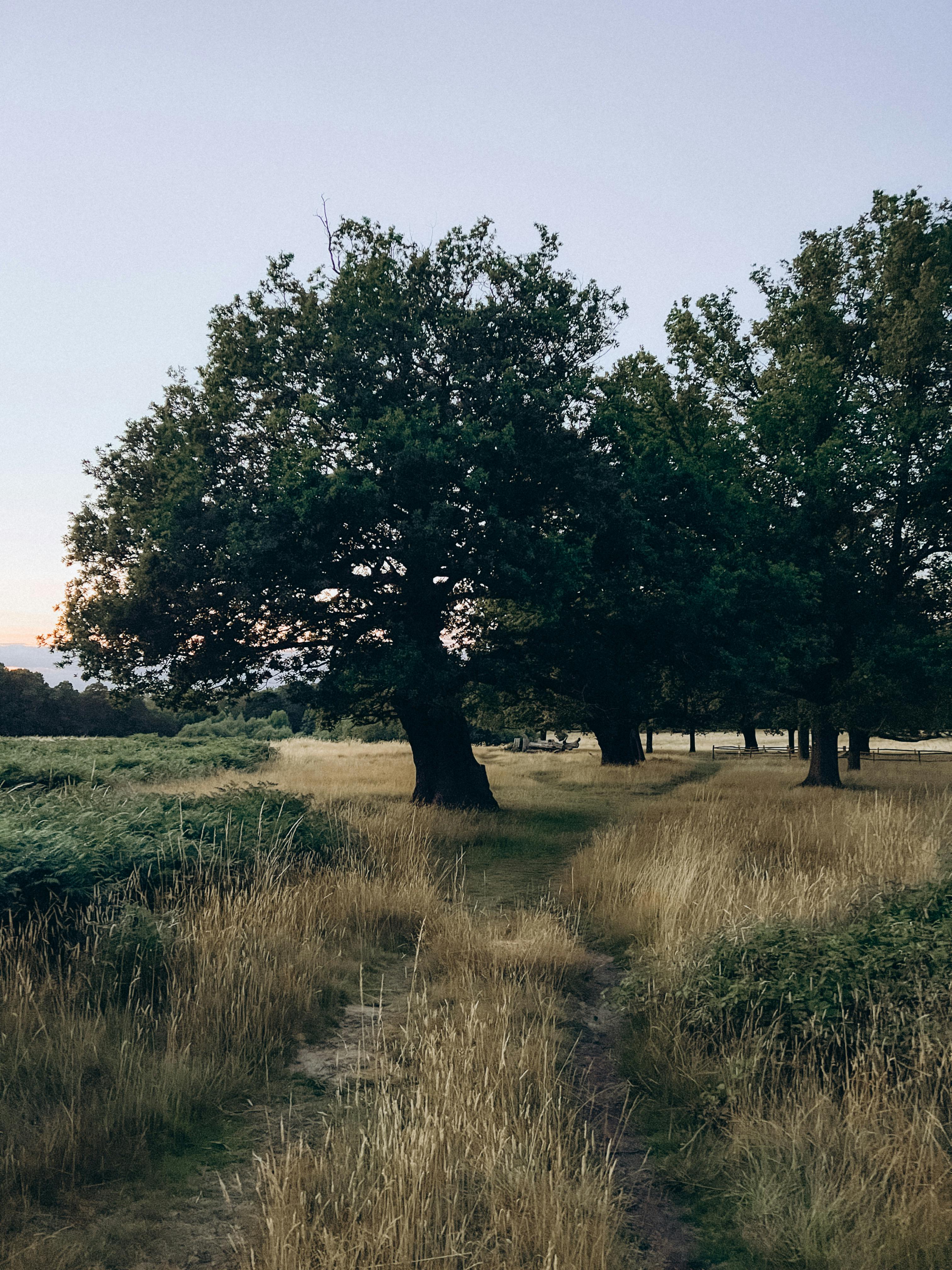 Scenic View of Agricultural Field Against Dramatic Sky · Free Stock Photo